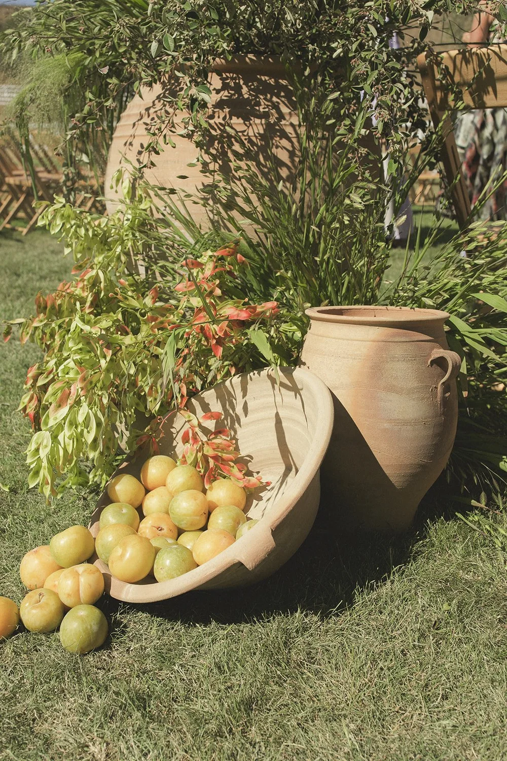 J + O | Malibu — Jenn Sanchez Design