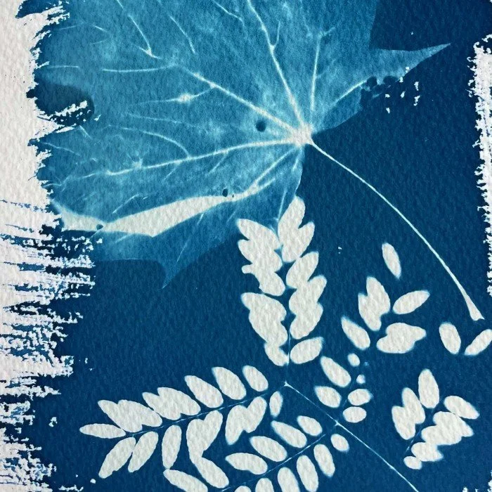 Cyanotype — Park Royal Design District