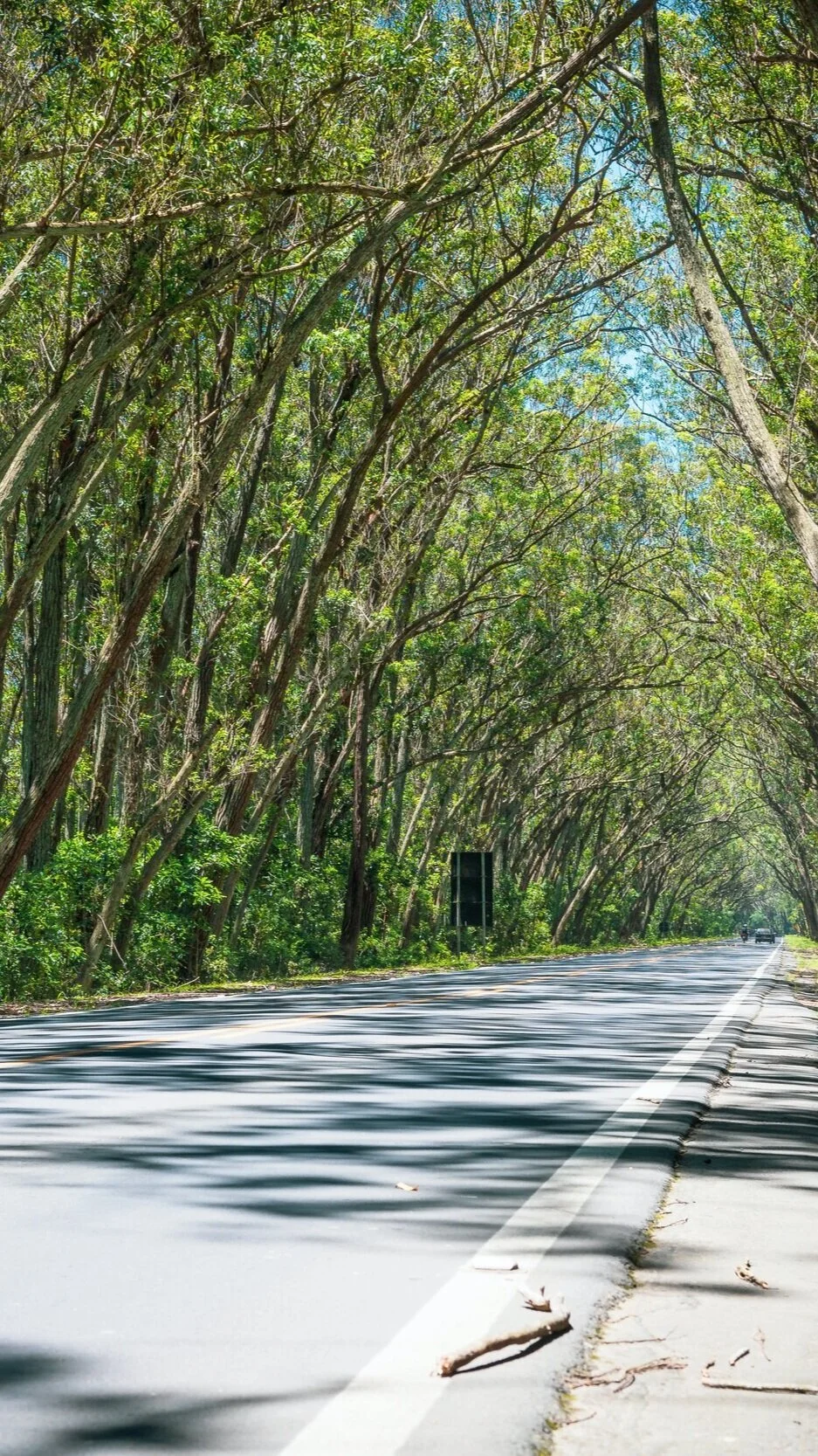 Automatic Driving Lessons Sheffield | FOX Driver Training