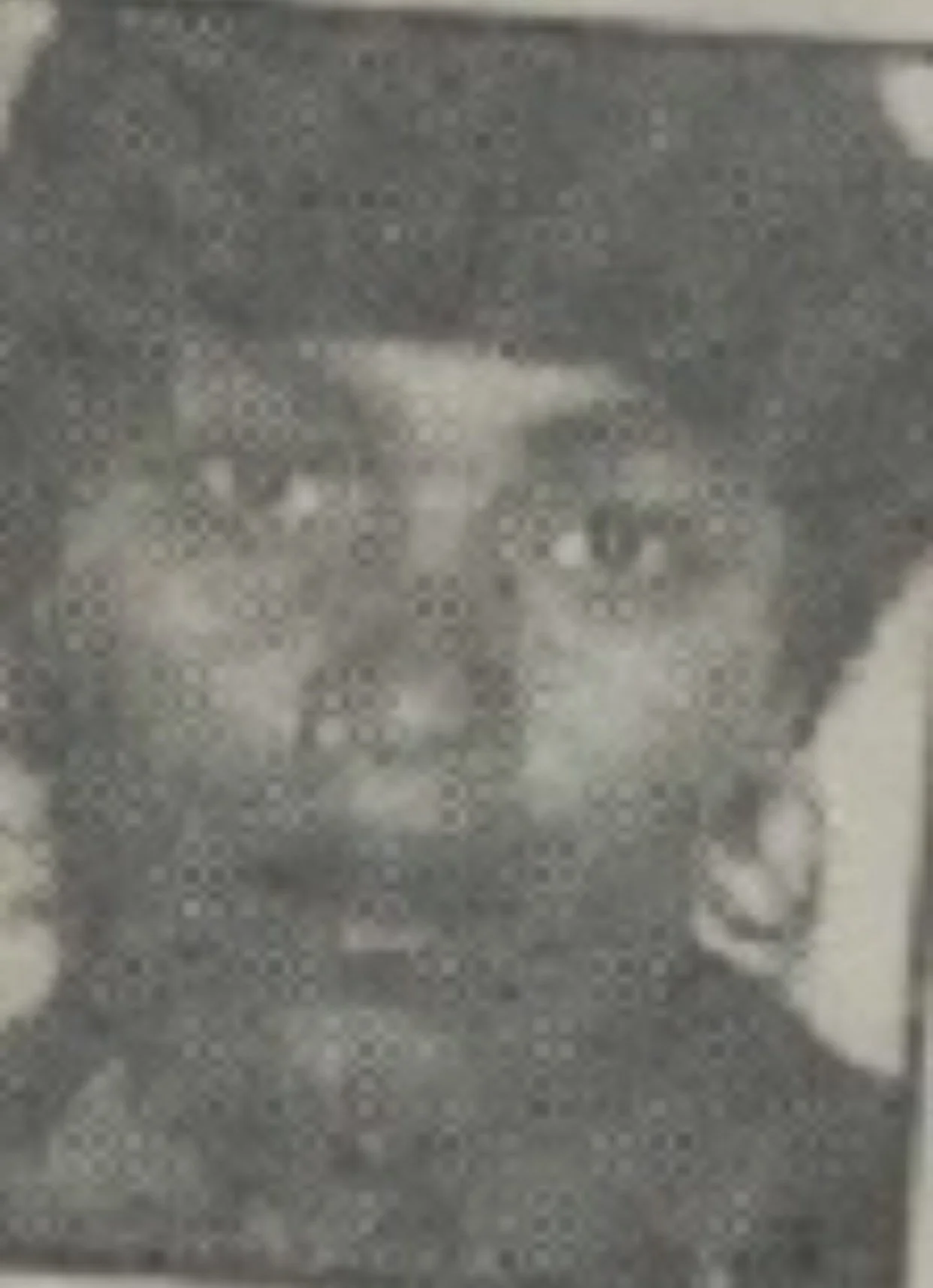 Case Profiles — True Crime New England