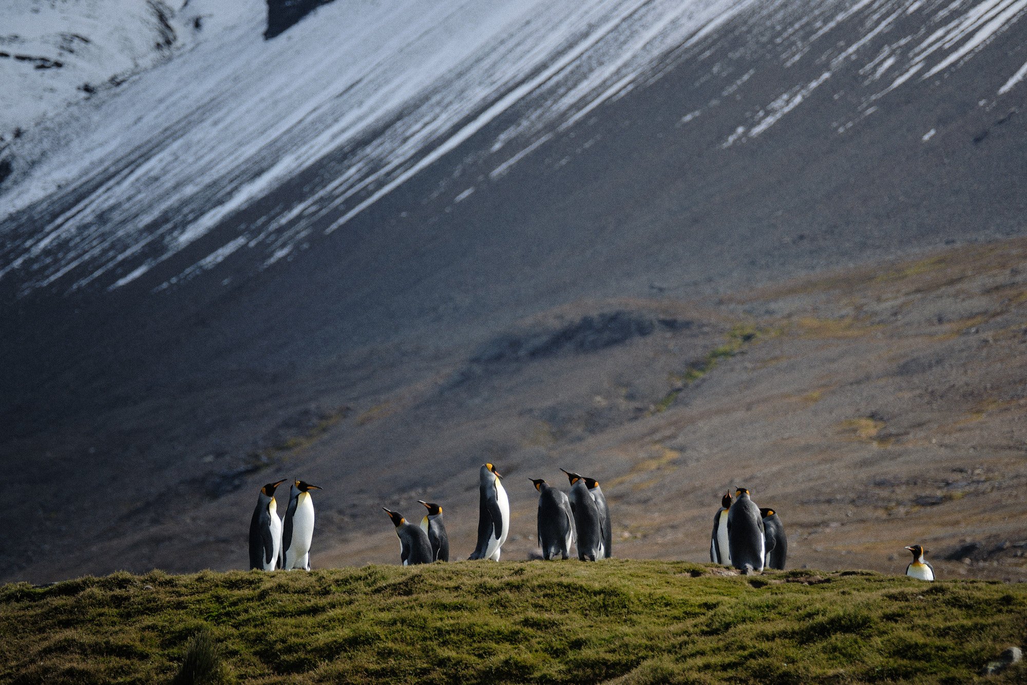 Richard Simko - photography I filmmaking I adventure