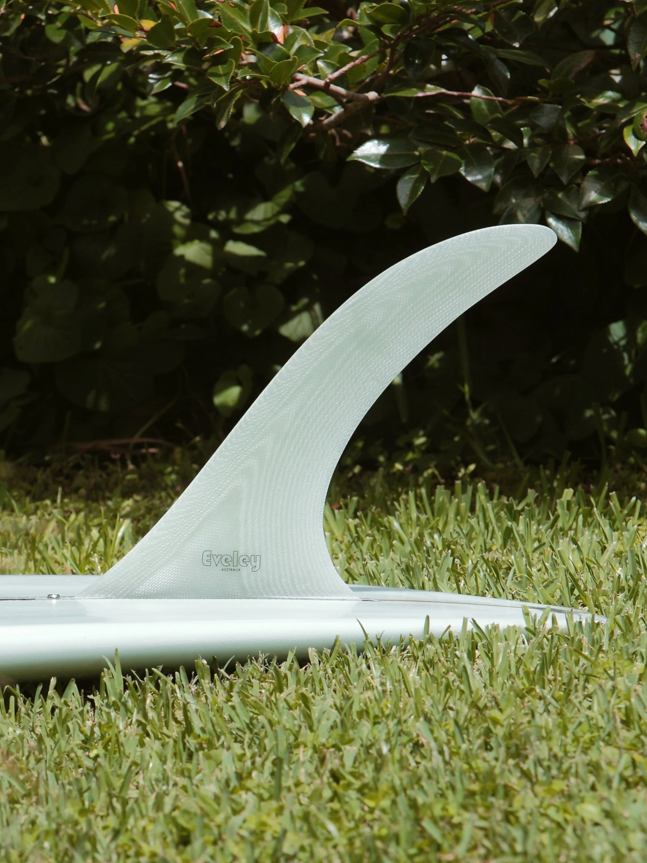 10" California Dreaming Center Fin, volan colour solid performance ...