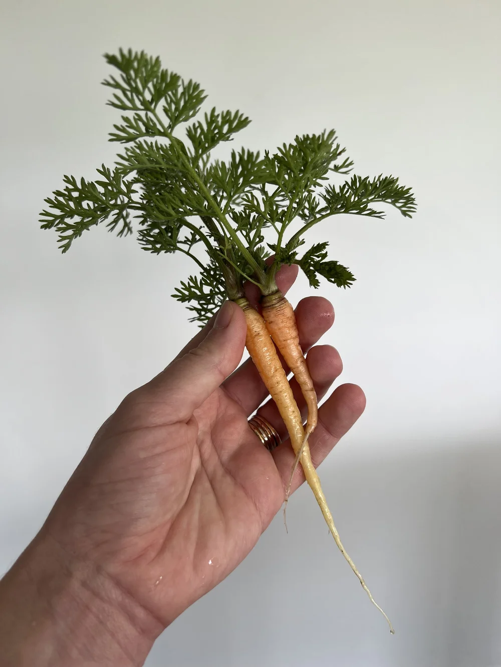 Platters & Grazes | New Plymouth | Humble Grazing