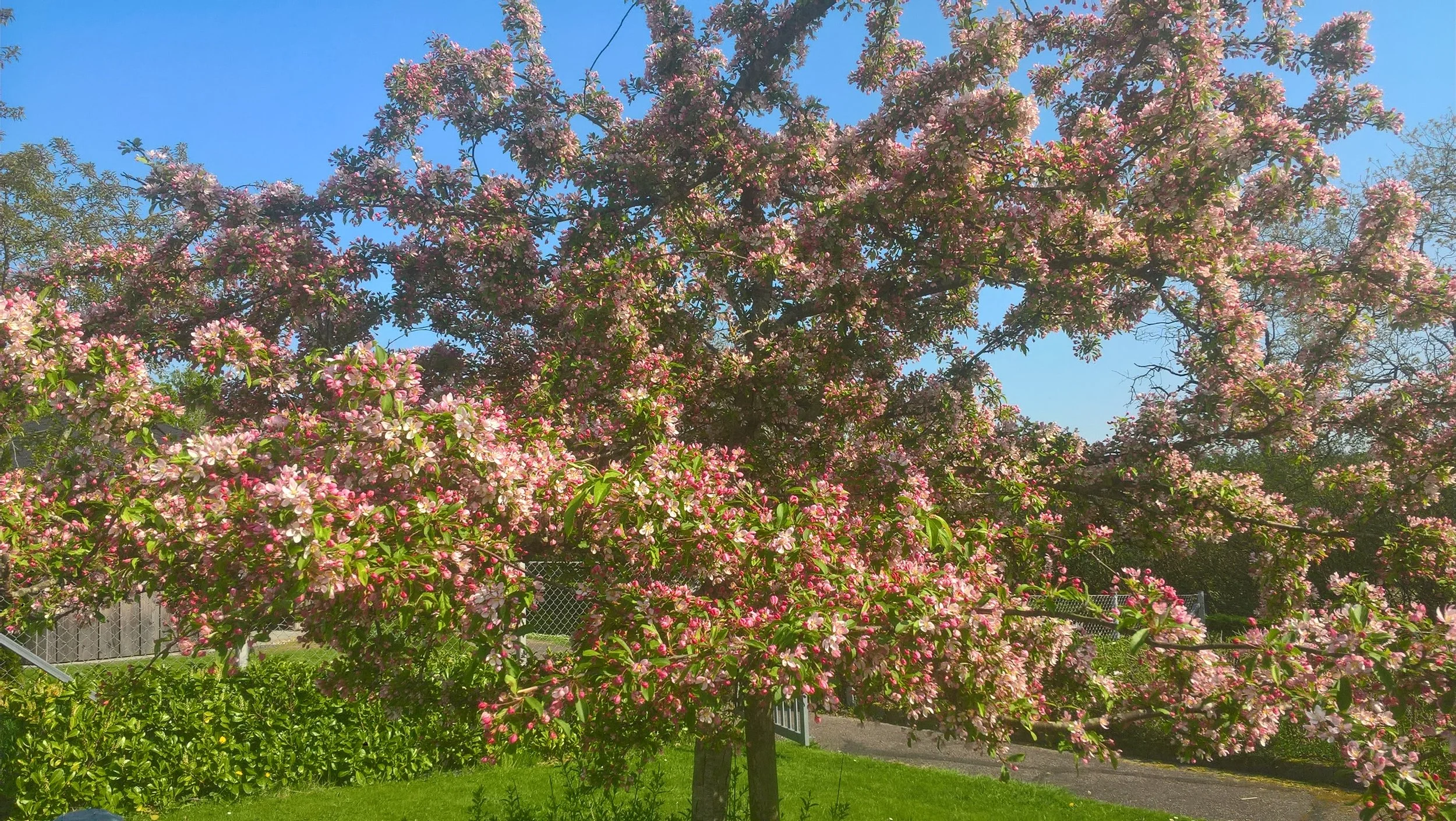 Kursus: Energi og Livskraft - kursus på massageuddannelsen ...