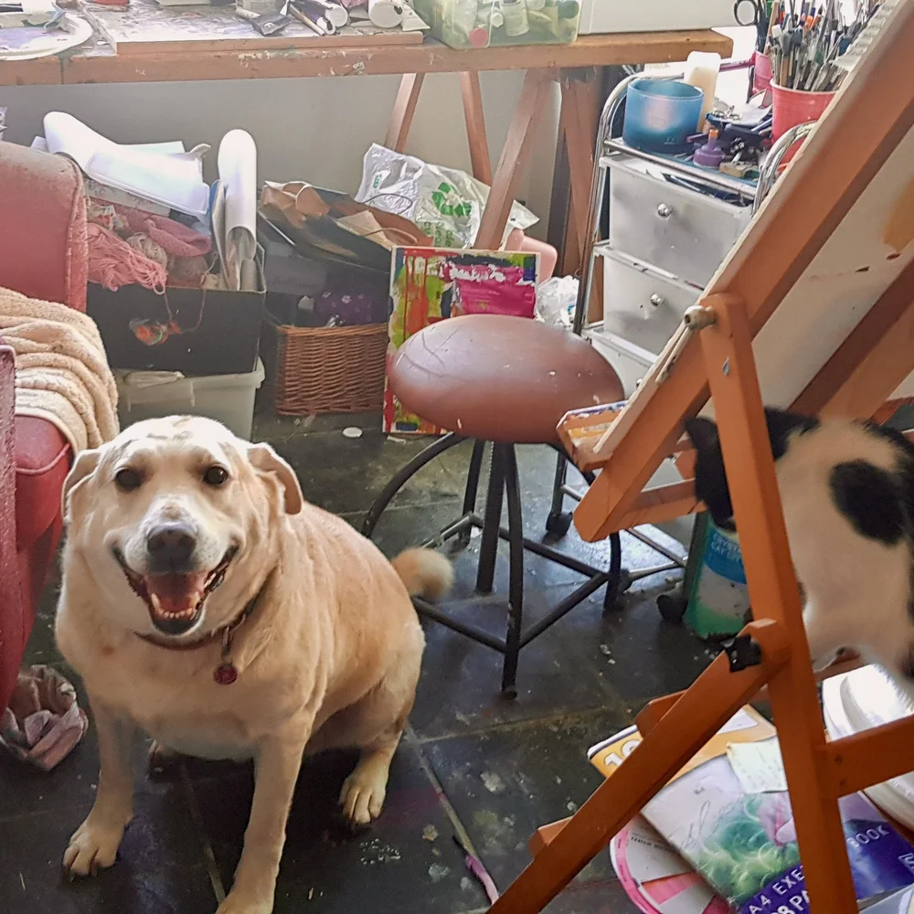 Maria Barnes - Inspiring Creative Stories — Nicola Newman