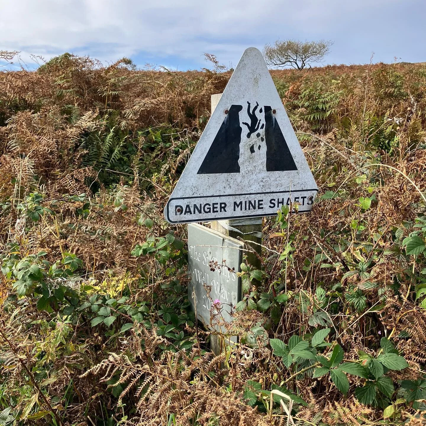 The Red Goddess | Scarlet Imprint