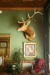 HF Bar Ranch Wedding - Wyoming Wedding Planner