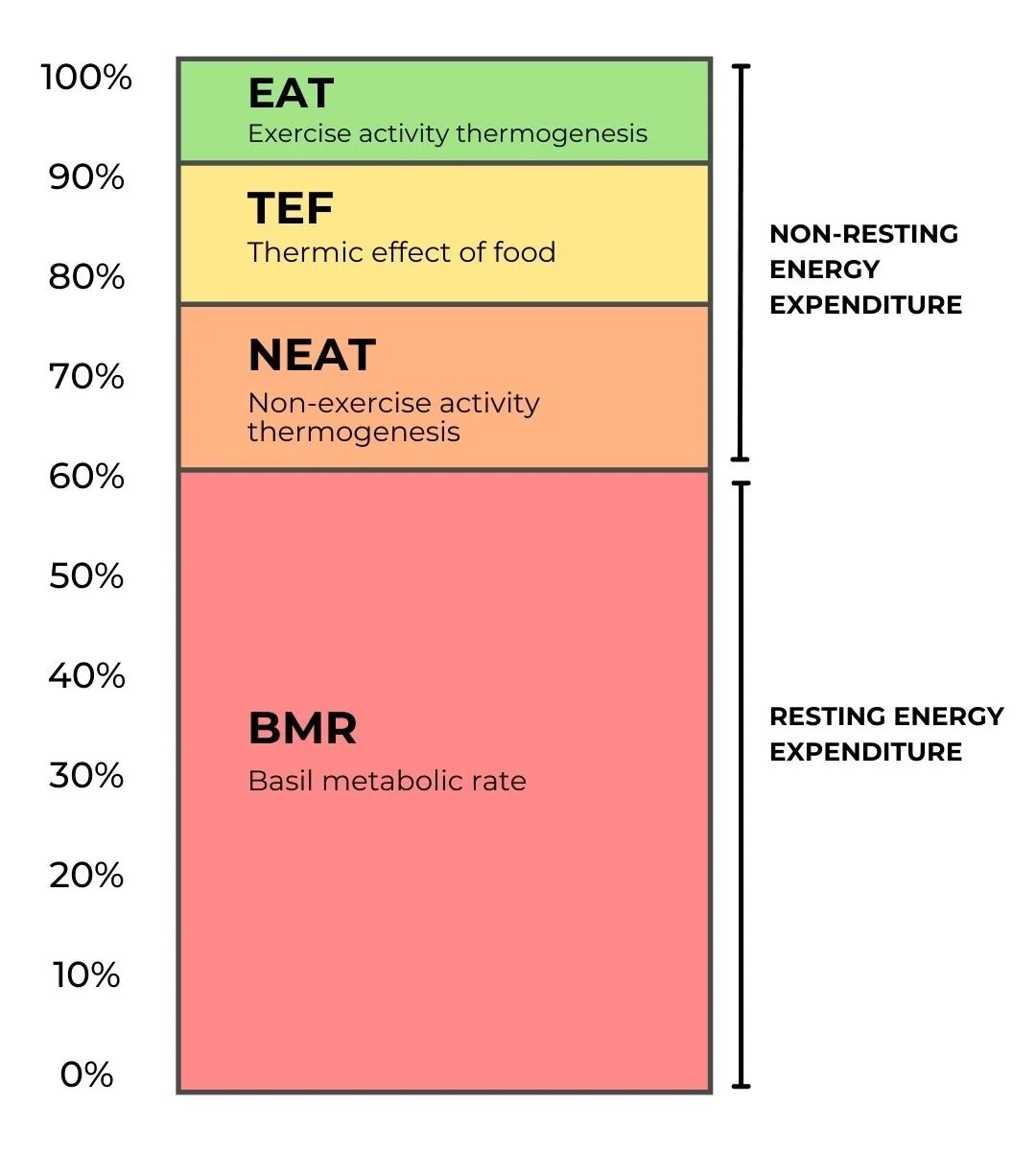 Lesson 2 Total Daily Energy Expenditure AG Coaching Lesson 2 Total Daily Energy Expenditure AG Coaching