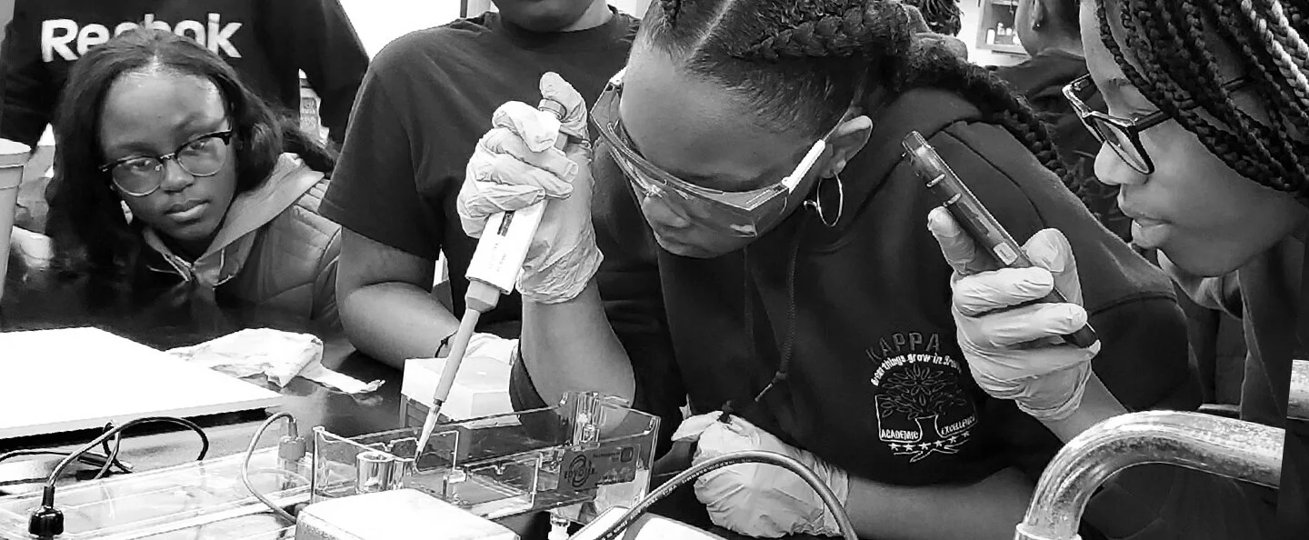 Our School — Kappa V