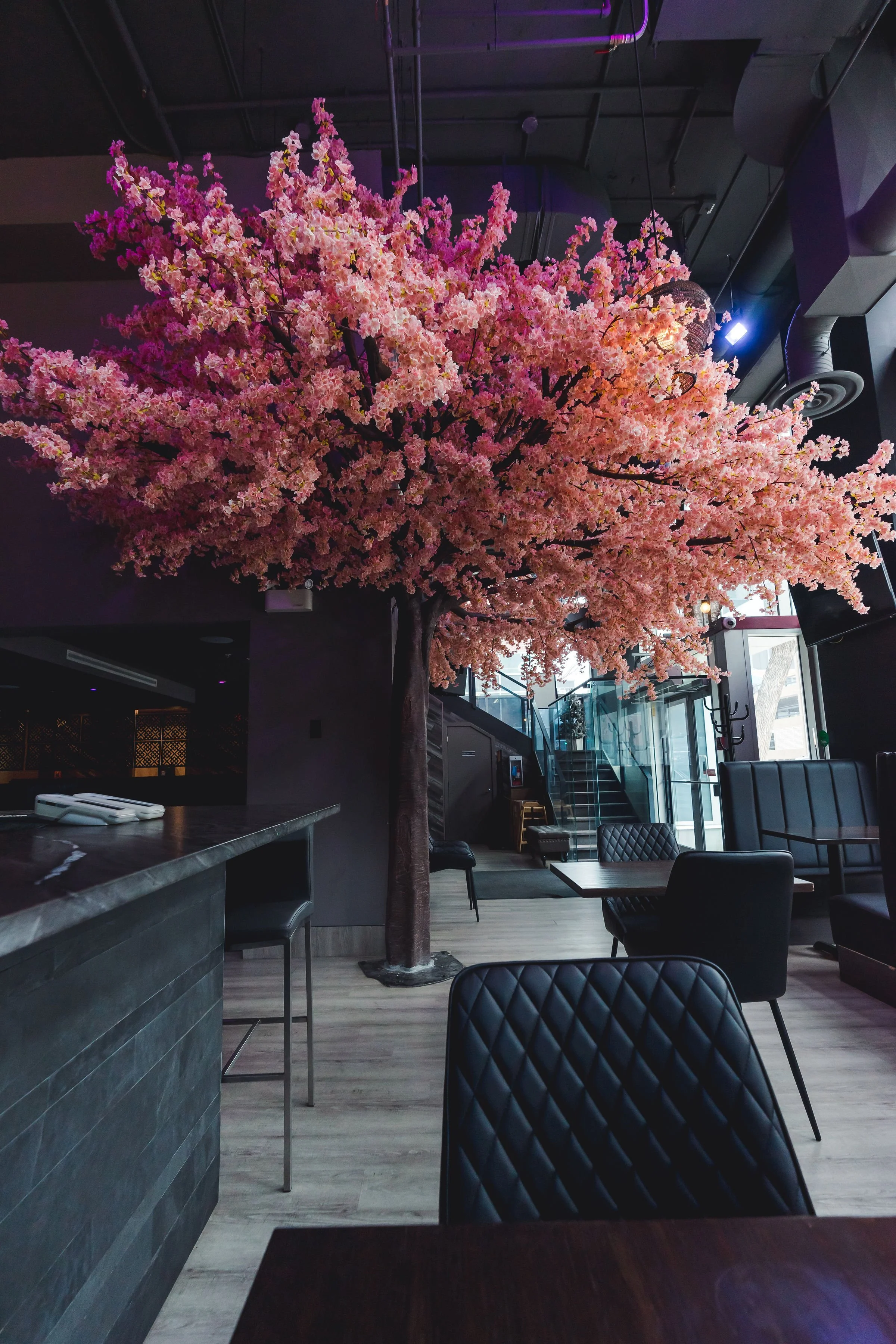 Downtown — XO Bistro + Bar