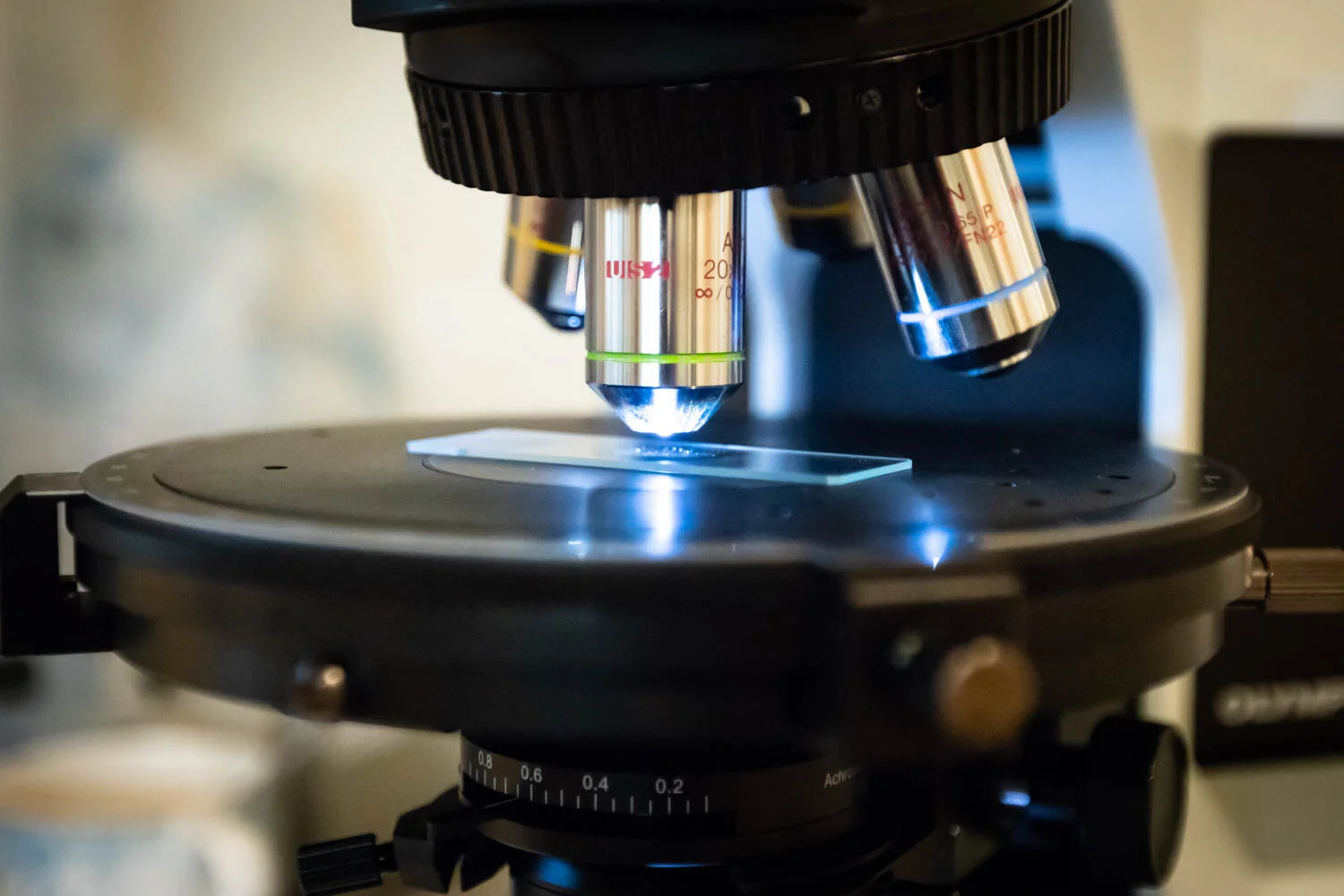 Asbestos Audits, Testing, Inspection, & Reports | GAA