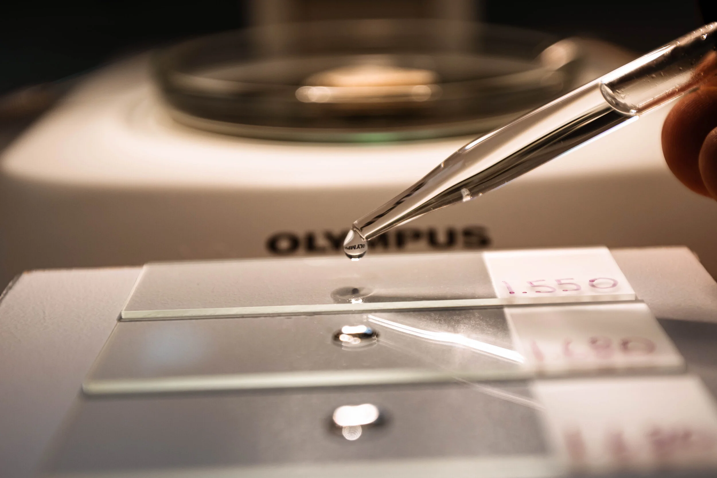 Asbestos Testing — GAA