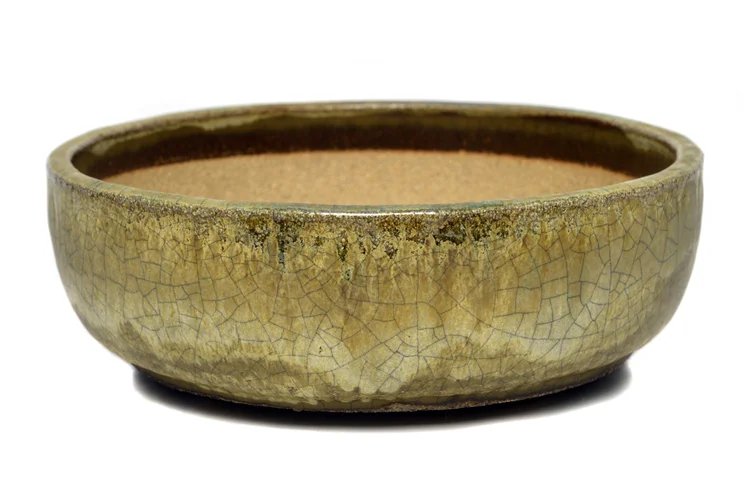 Recent work — Dan Barton Creative