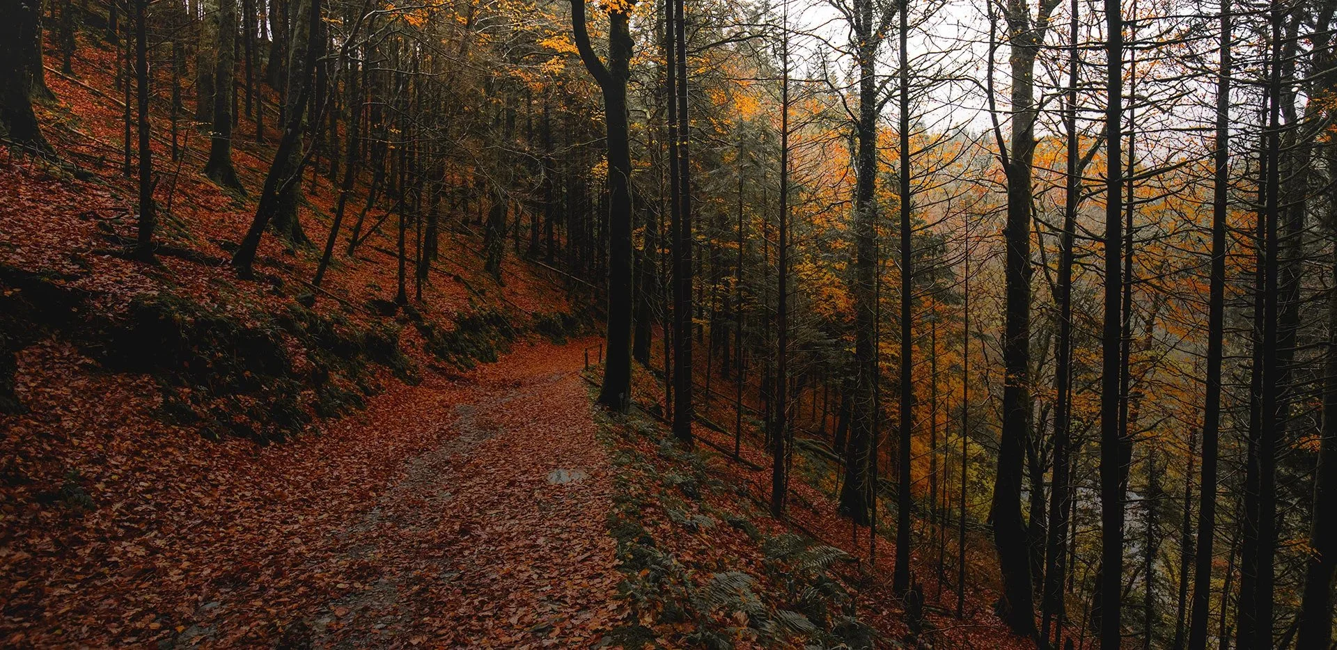 Wicklow Craft Foundation