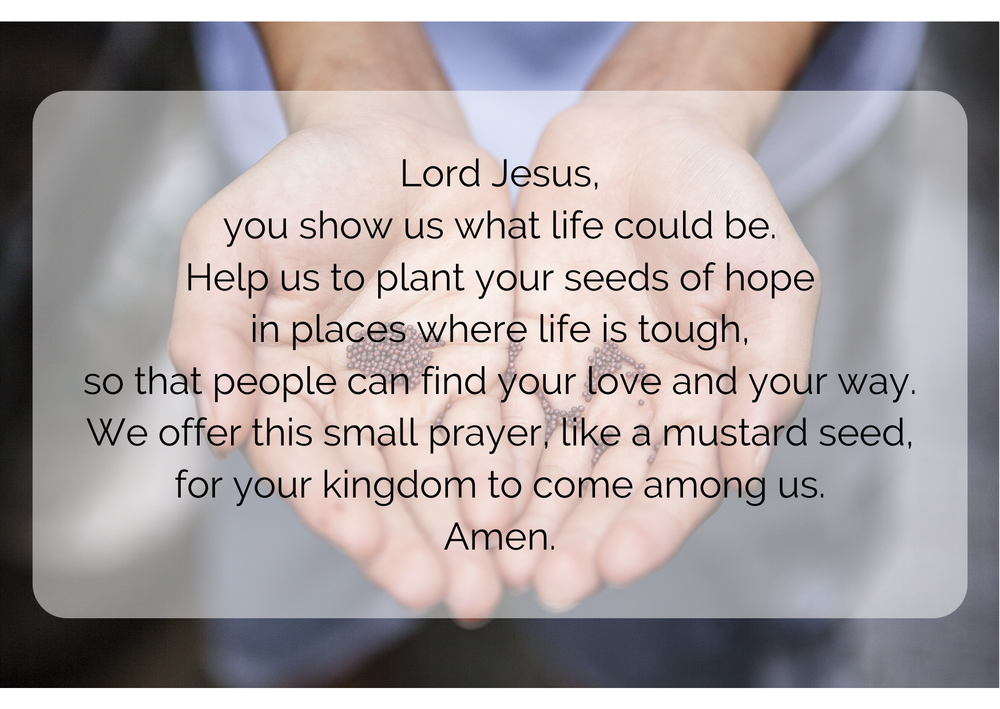 Get involved — Mustard Seed
