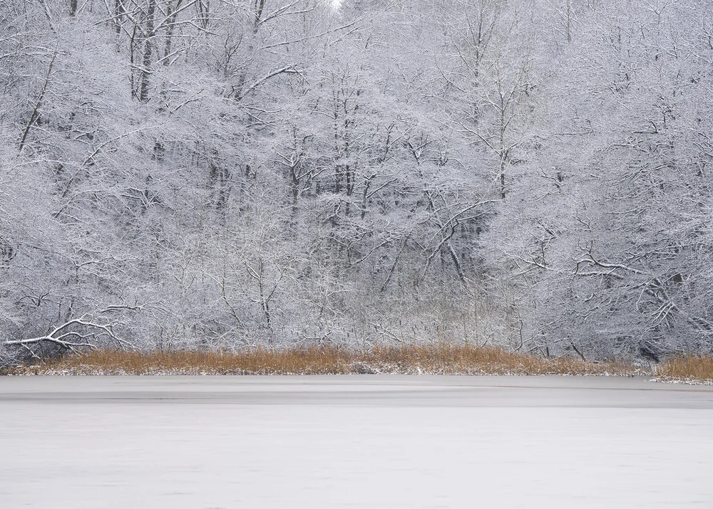 Richard Childs Photography