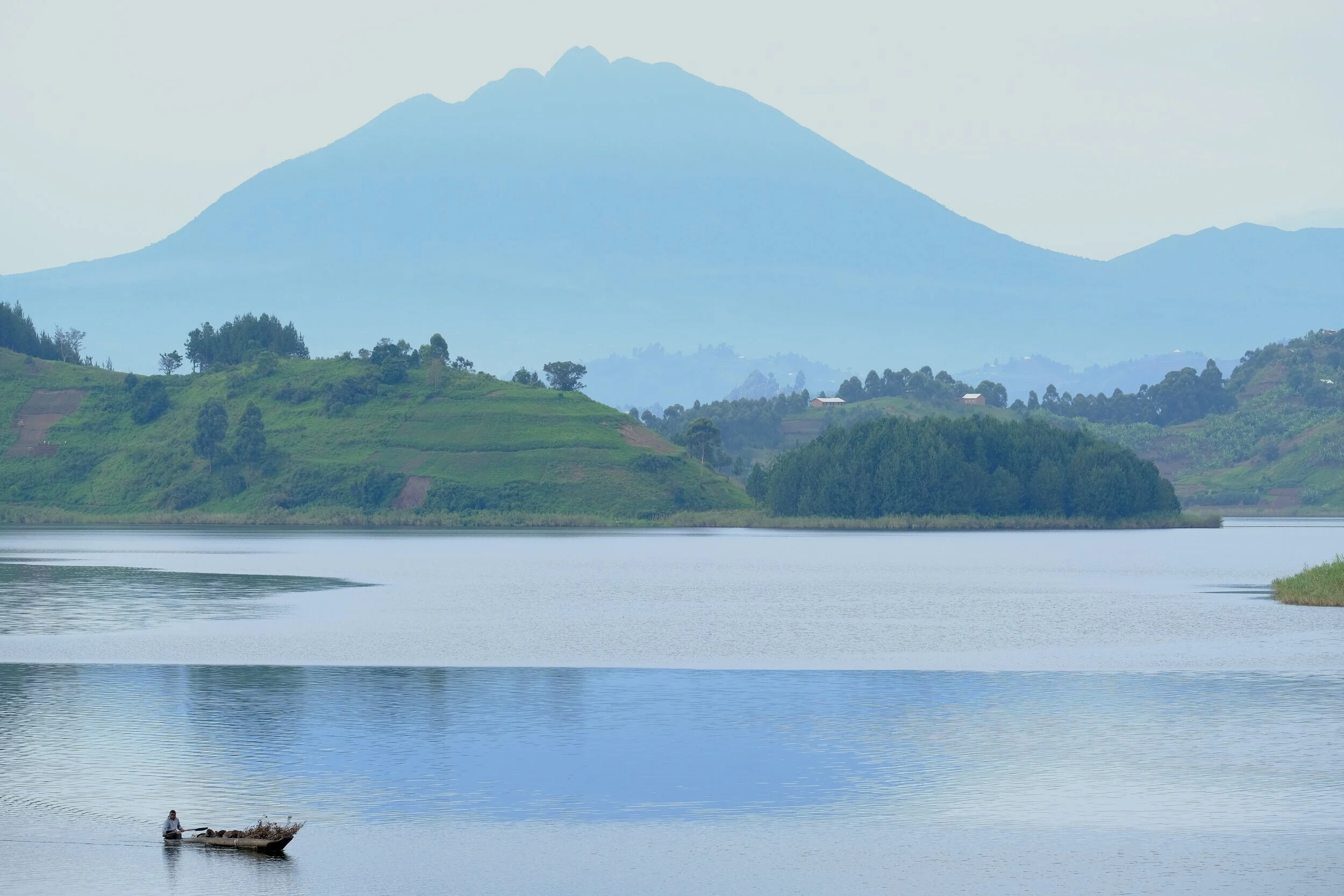 Biodiversity Alliance