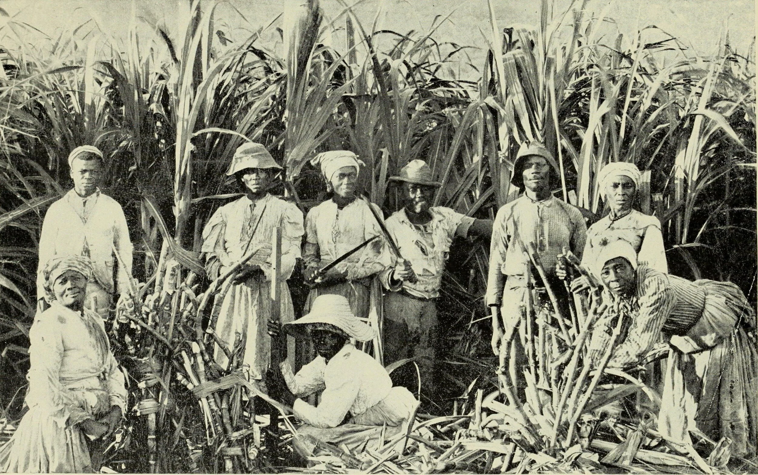 Insurgent Cuba — Ada Ferrer