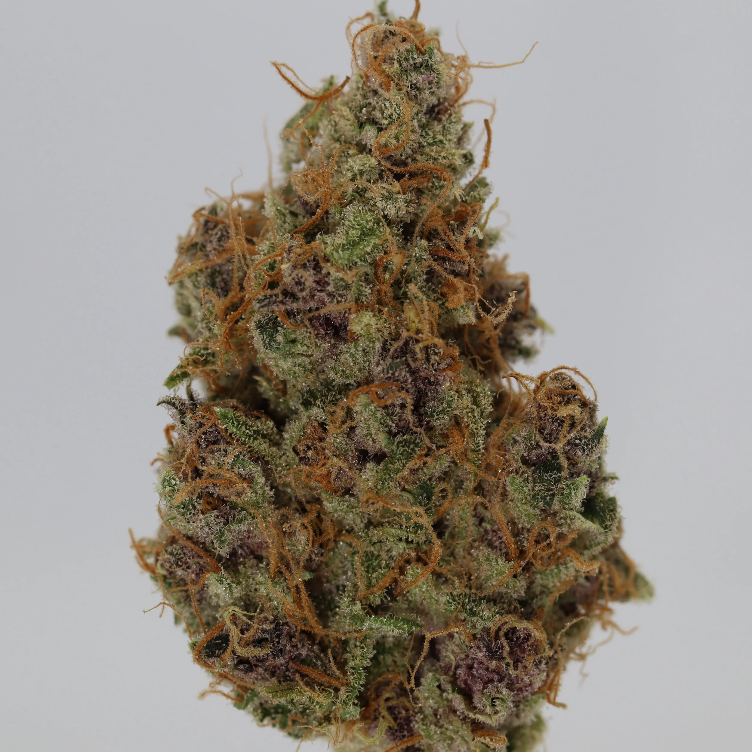 Flower — Clouded Valley Cannabis LLC