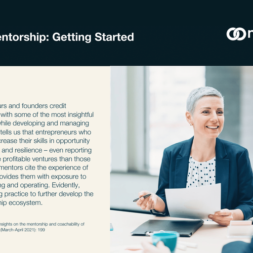 Principles of Mentorship - Resources — MindFrame Connect