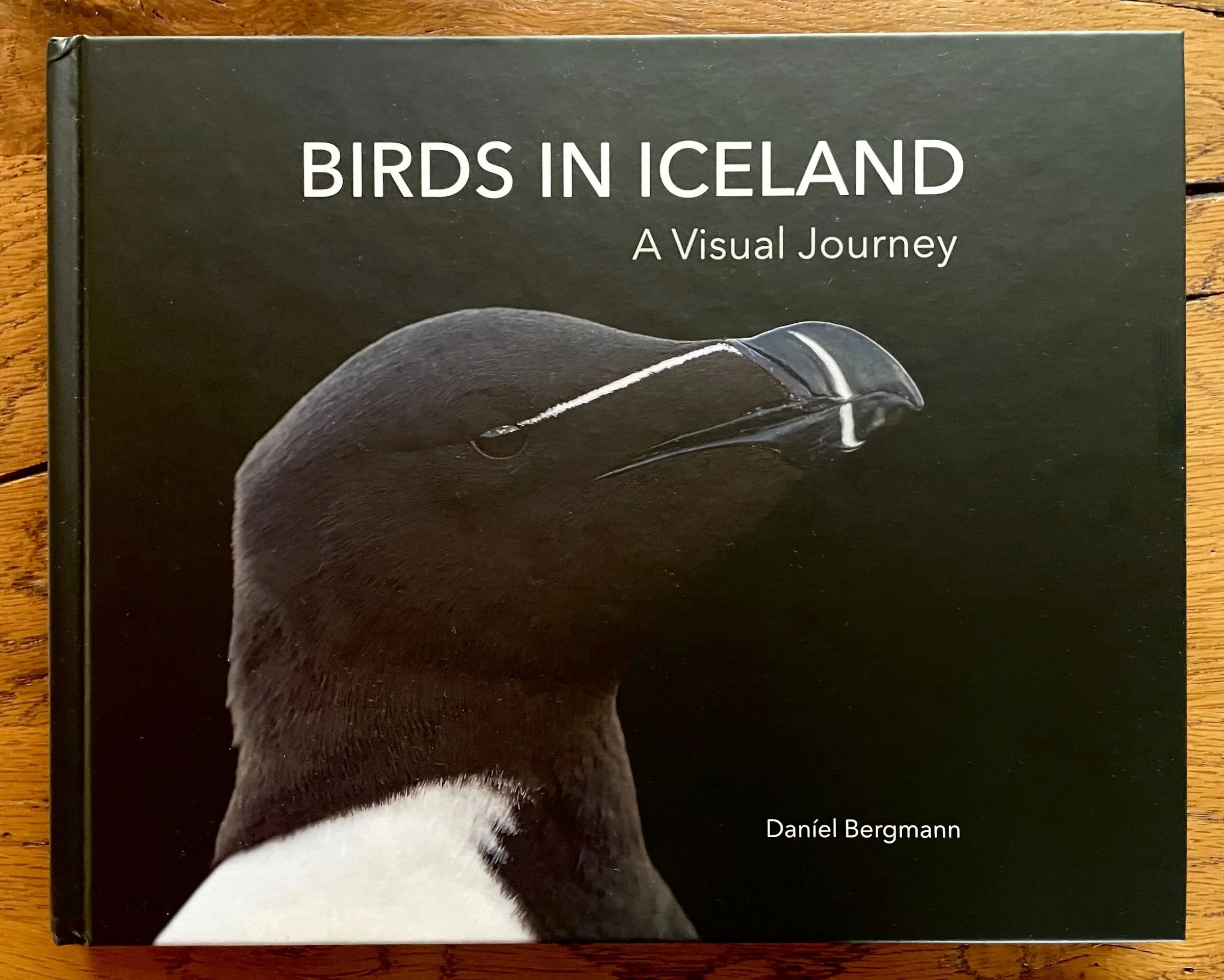 Birds in Iceland - Daníel Bergmann — snowhenge|dot|net