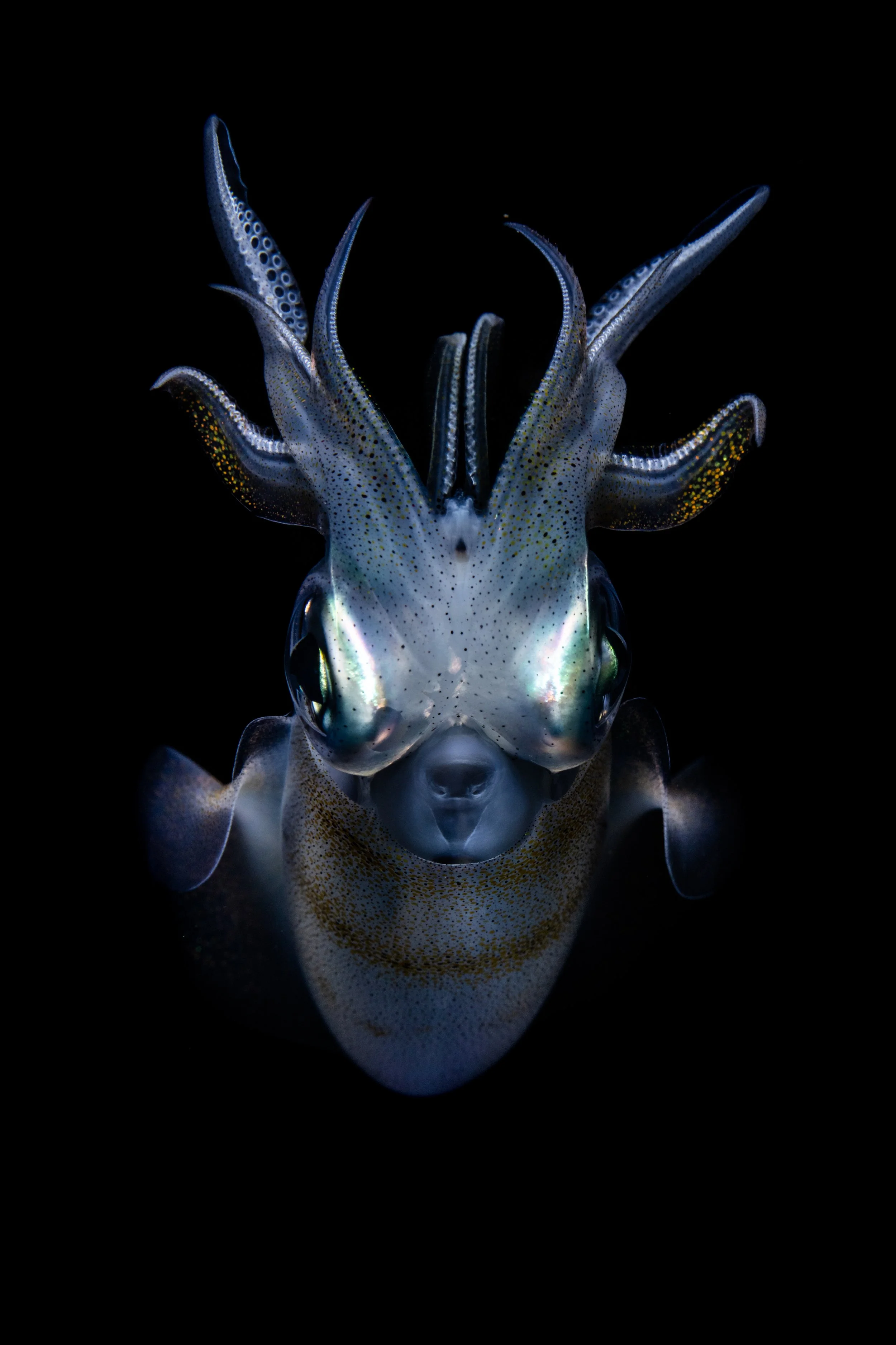 Andrew J Clarke Photography