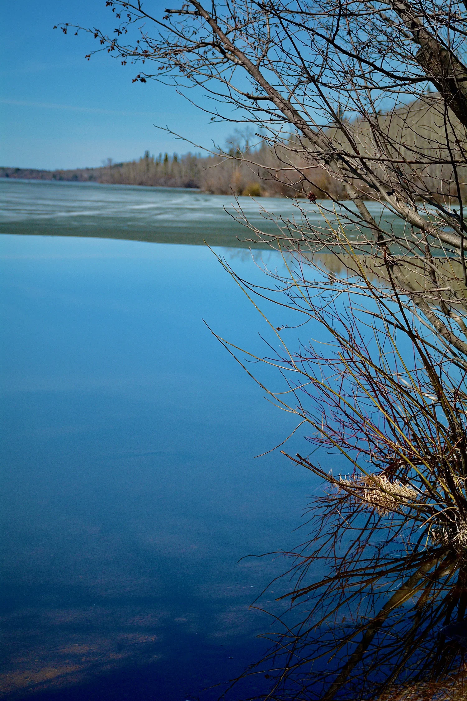 Things to do in Vanderhoof — Vanderhoof Chamber of Commerce