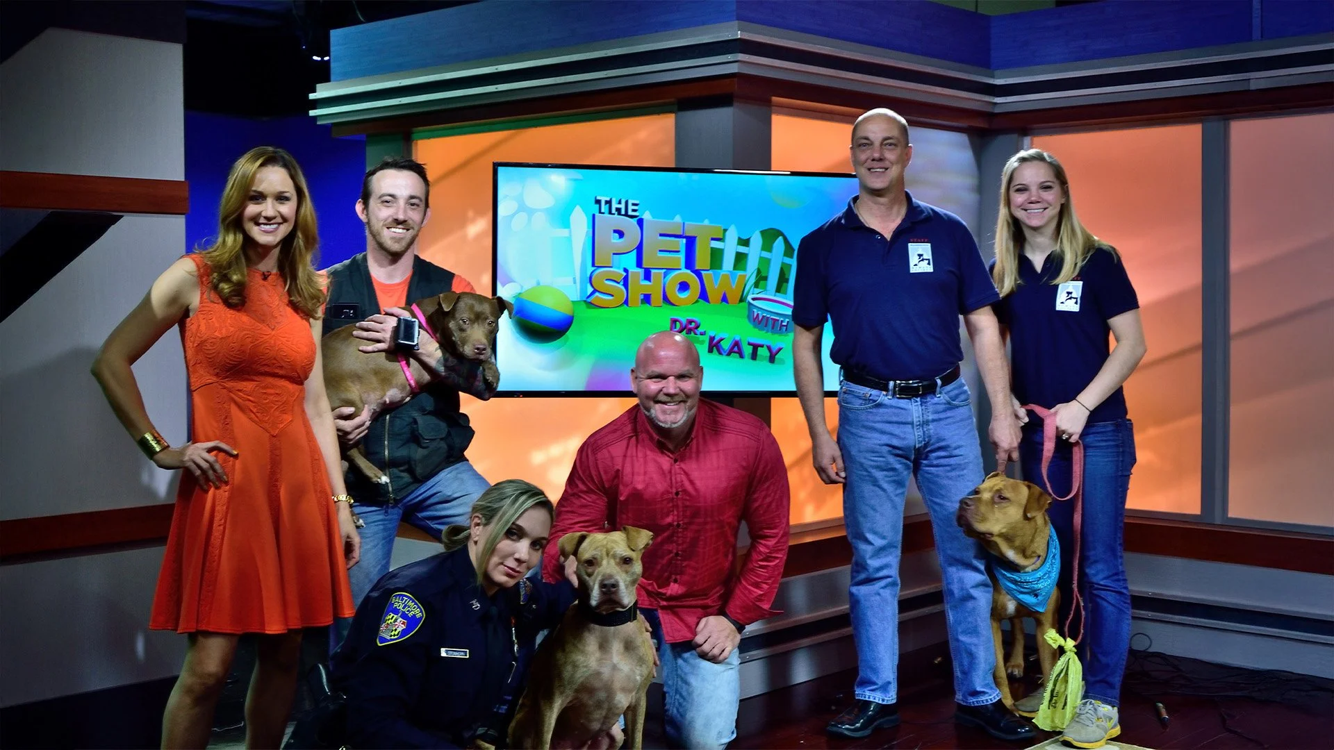 About — Gordon Shell