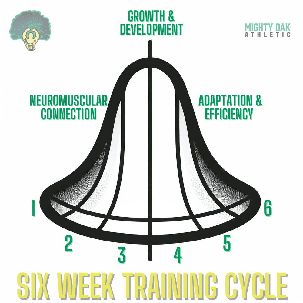 How to Transform Your Athletic Performance in Six Weeks: A ...