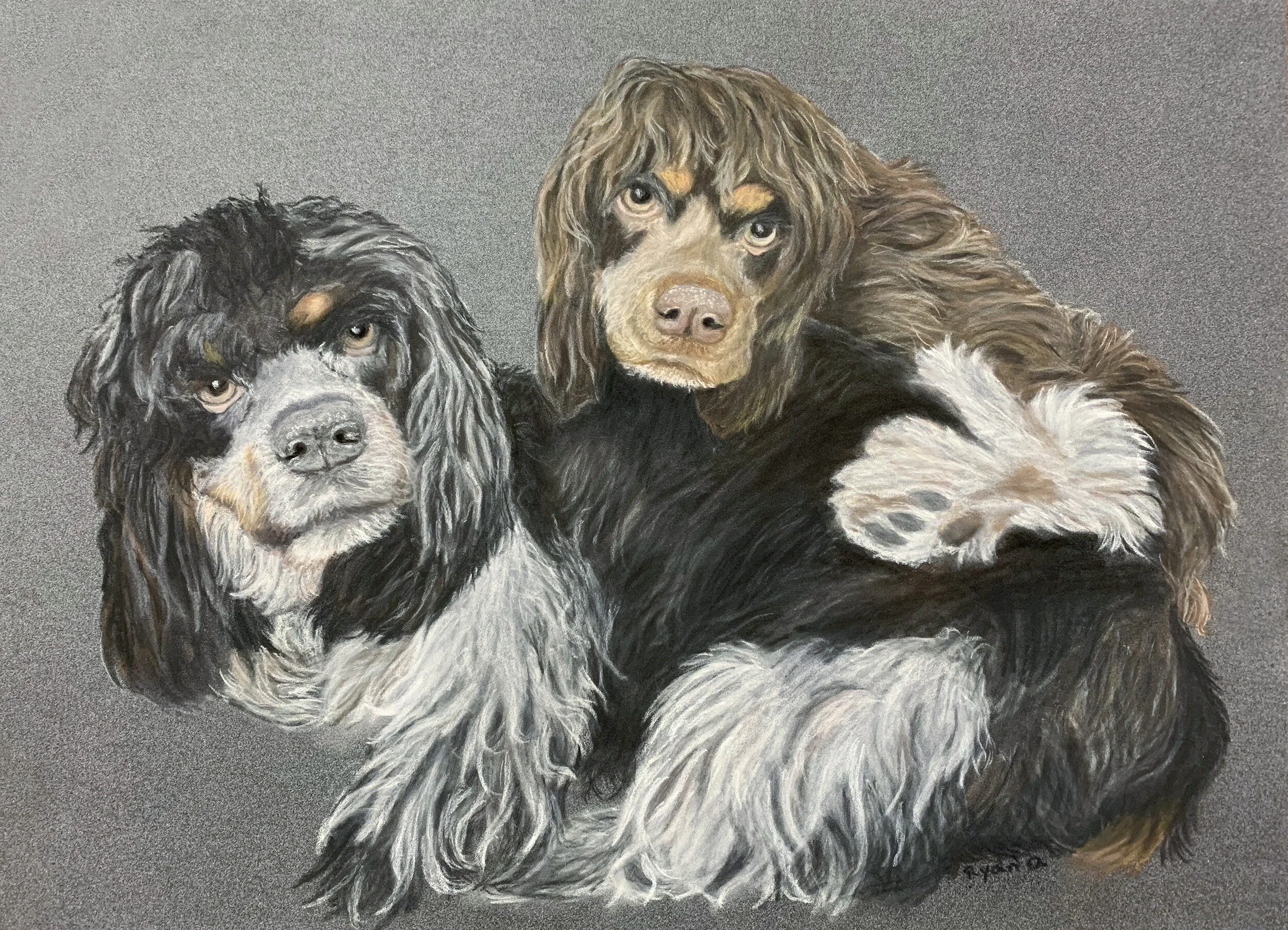 Members Gallery — Lehigh Art Alliance