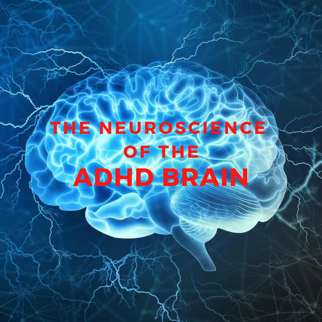 Adhd Brain