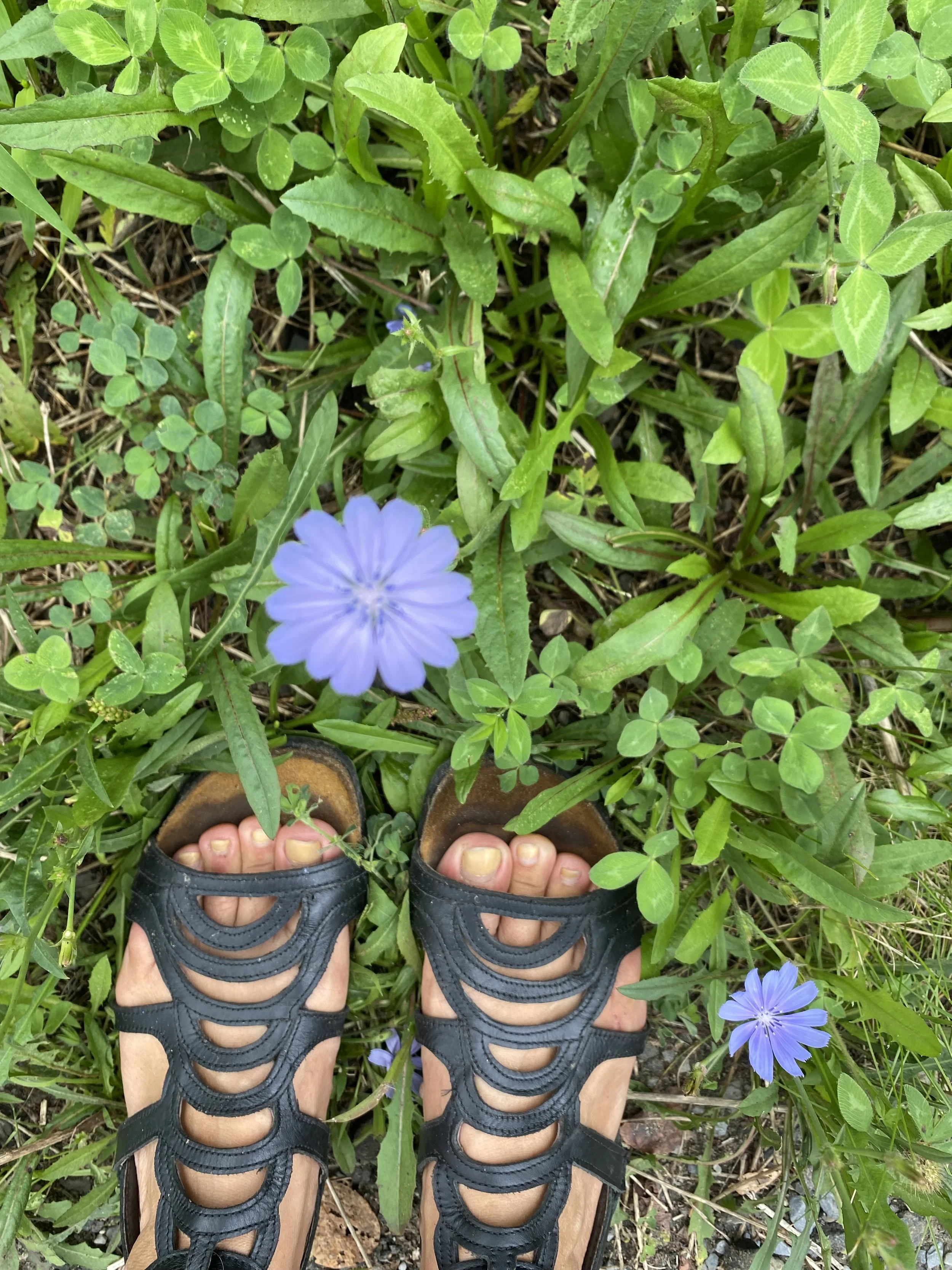 Couple’s Conflict: Negative Sentiment Override — Lily Manne global ...