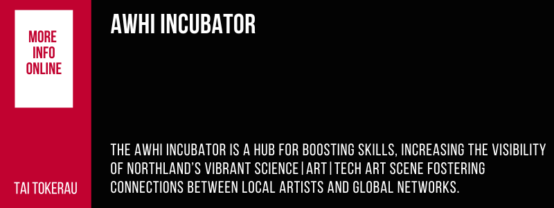 ĀHEINGA ANGITU — Toi Ngapuhi