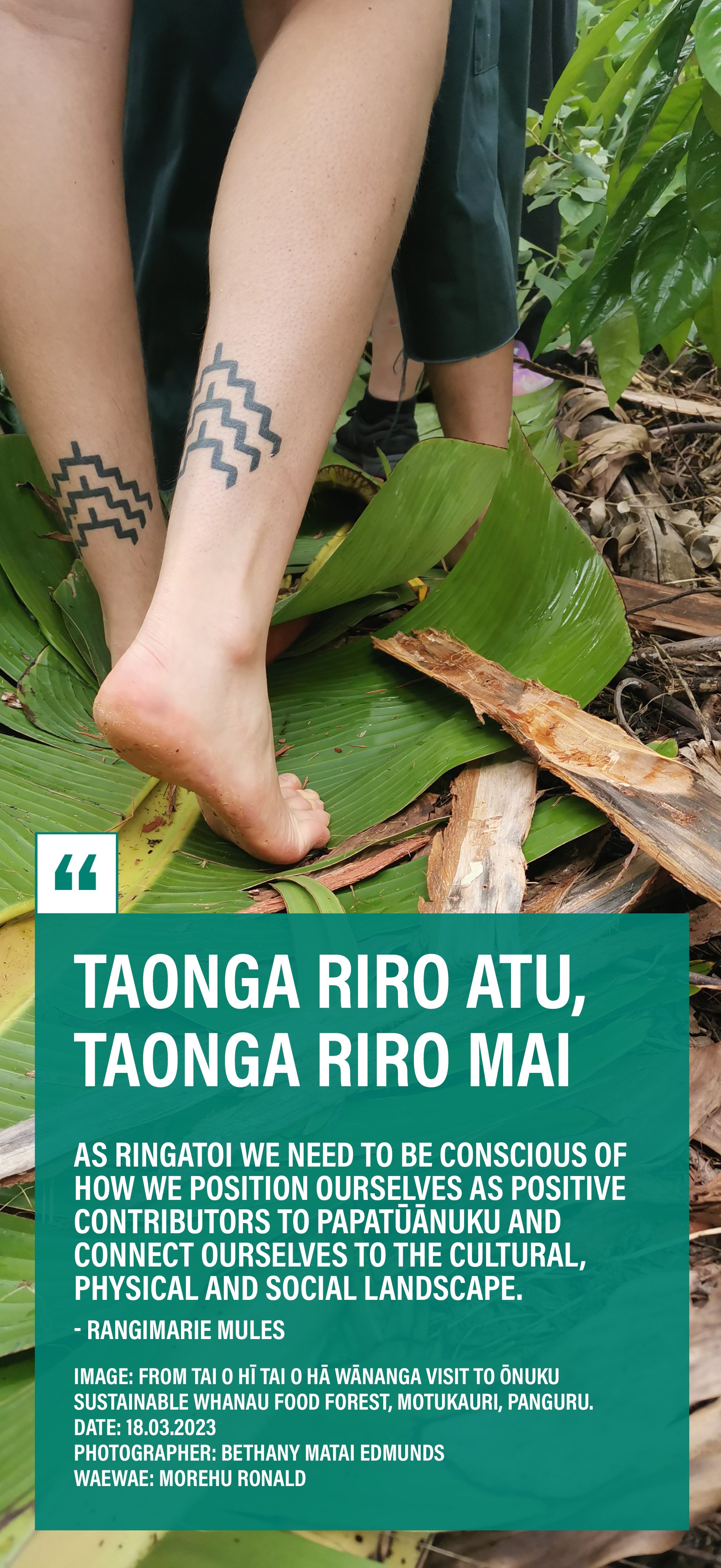 TIAKI TAIAO — Toi Ngapuhi