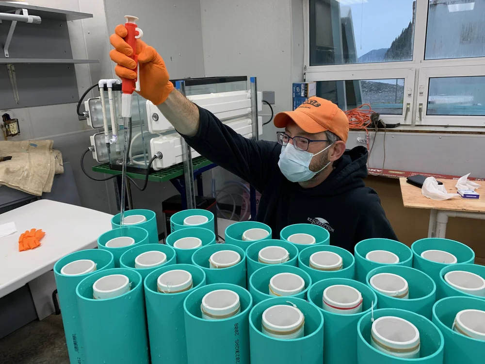 Shifting Gears: Delivering Remote Hatchery Training for Alutiiq Pride — GreenWave