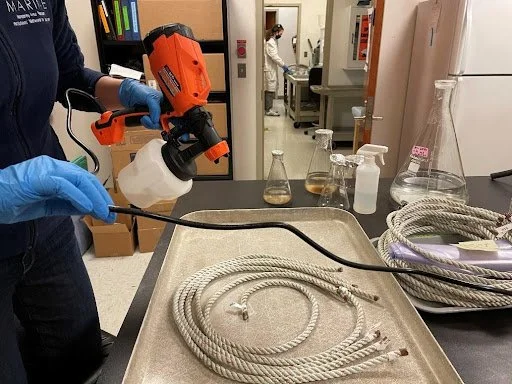 Hatchery Innovations: In Pursuit of Direct-Seeding — GreenWave