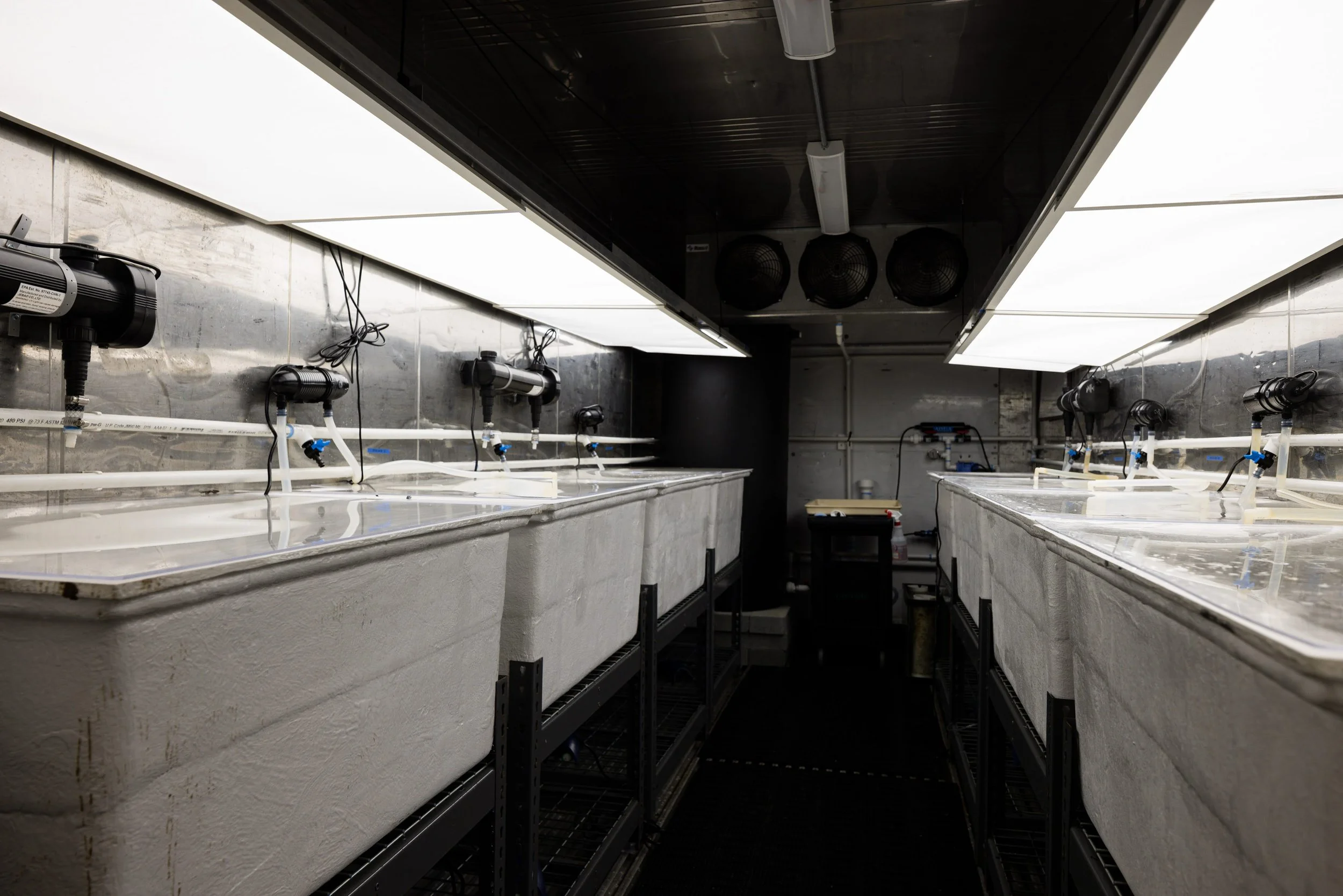 New Replicable Kelp Nursery Design Drops on Ocean Farming Hub — GreenWave