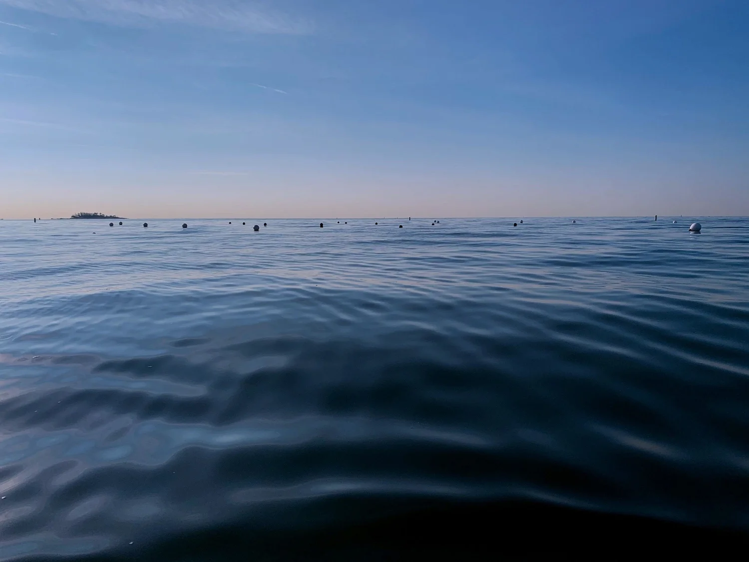 Training Opportunities — GreenWave