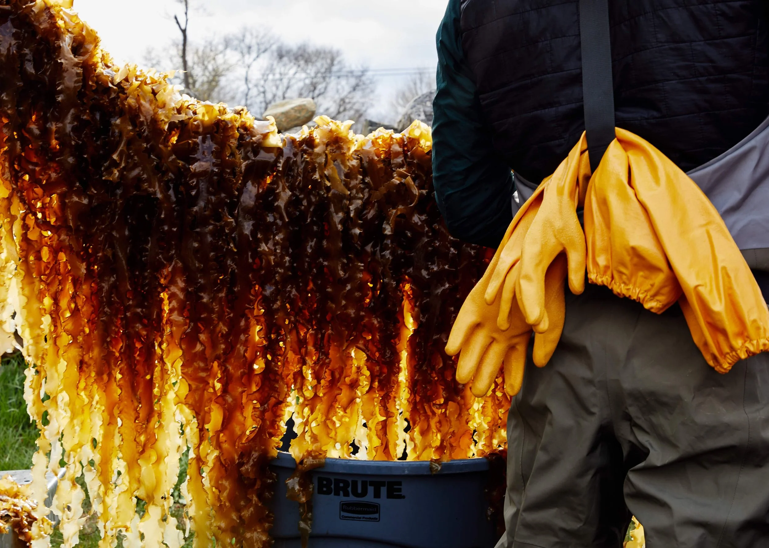 Our Approach — GreenWave