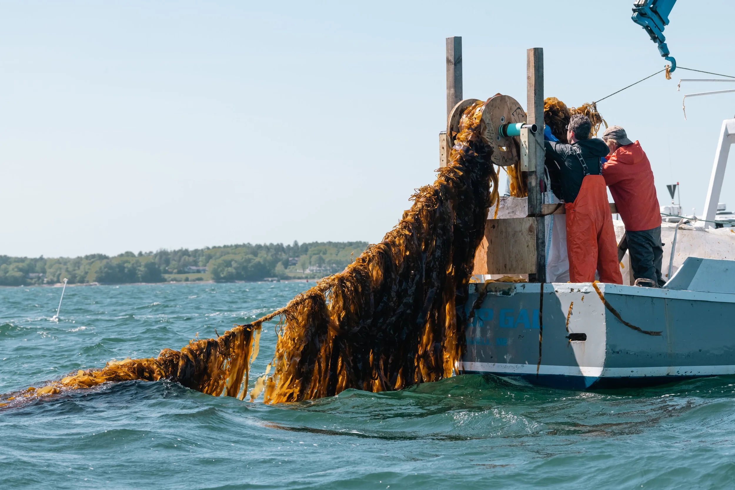 Kelp Climate Fund Program Evolution — GreenWave