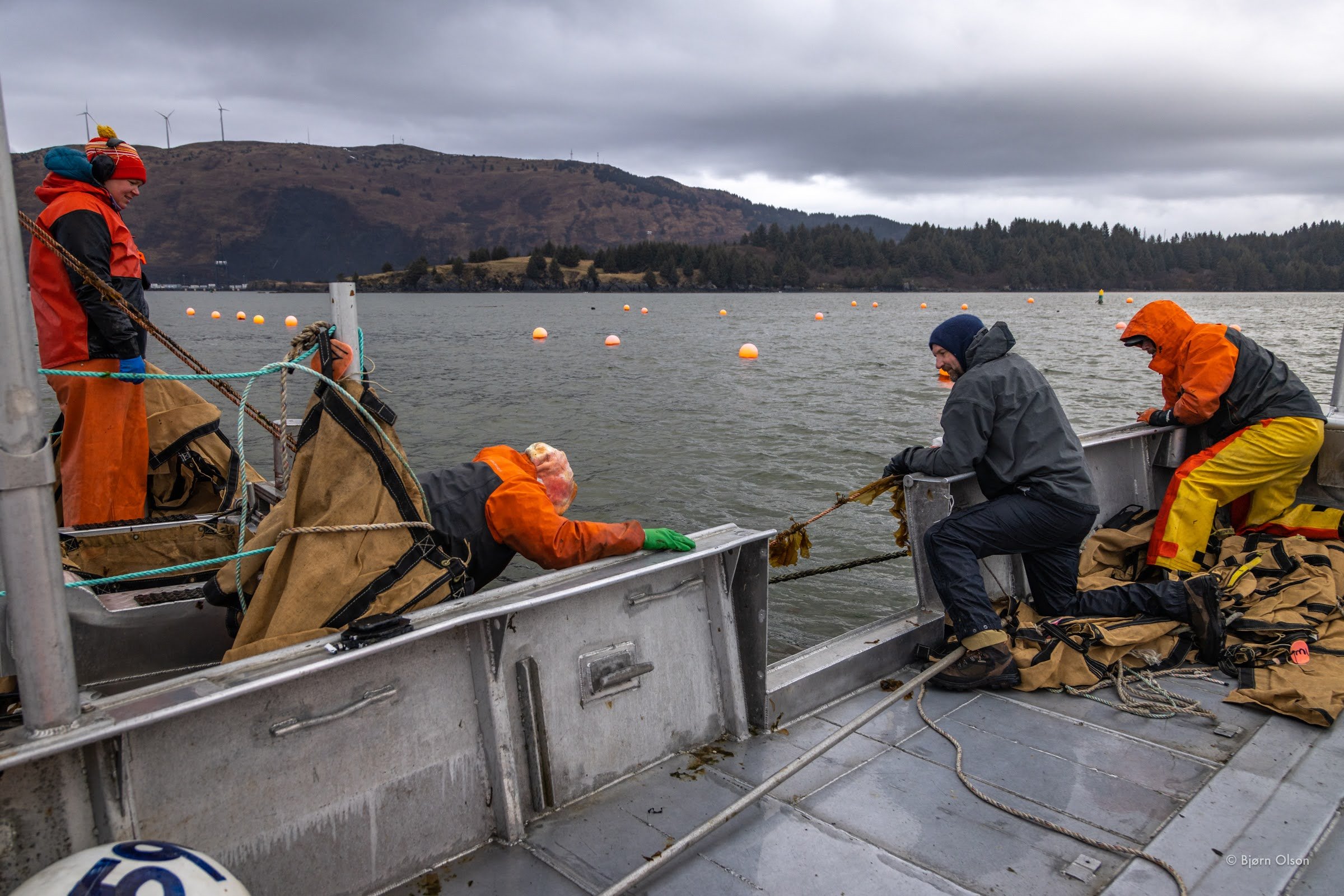 Training Opportunities — GreenWave