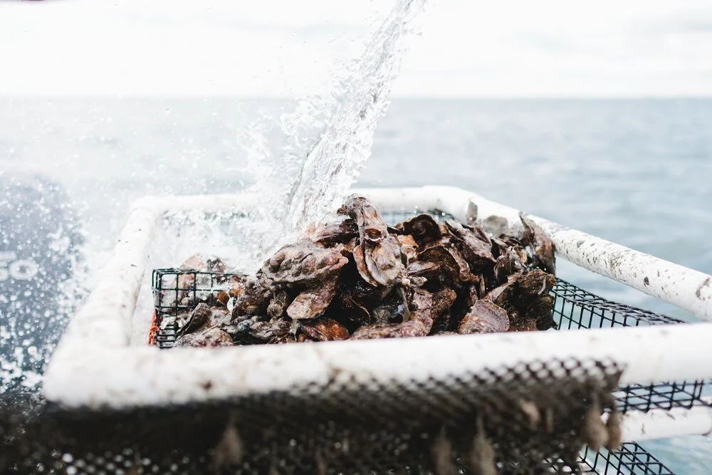 Our Approach — GreenWave