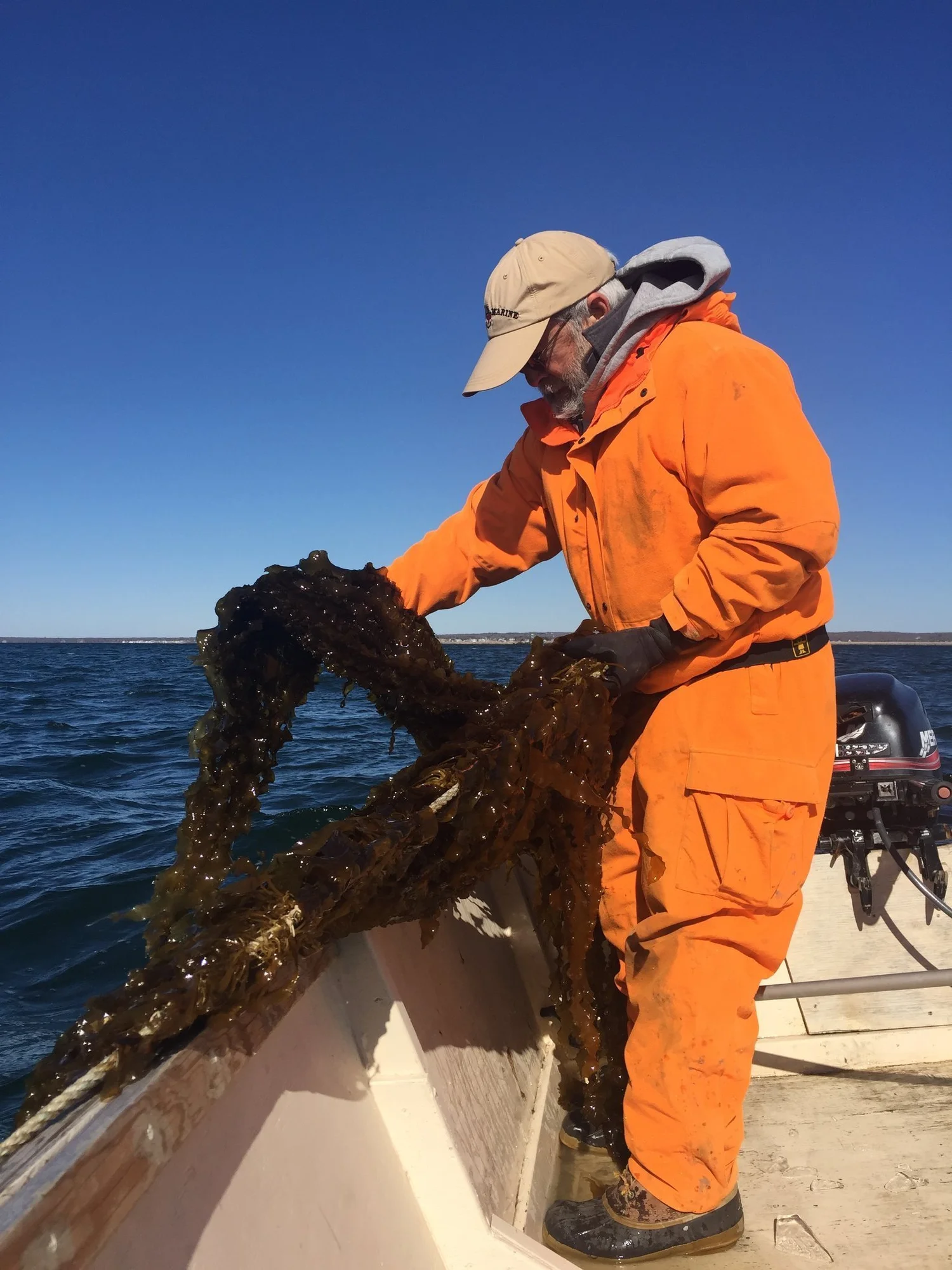 How to Start a Kelp Farm — GreenWave