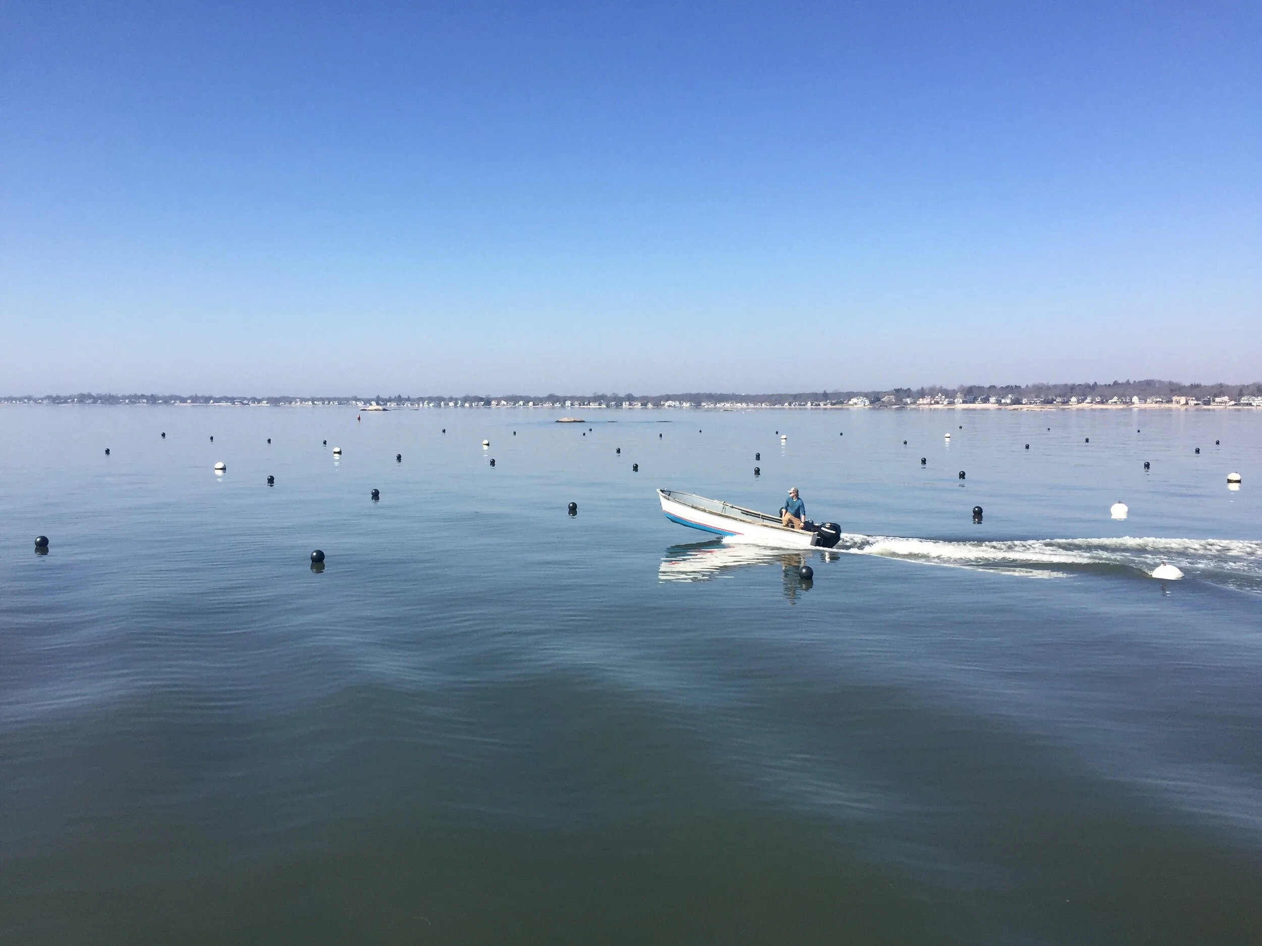 Our Work — GreenWave