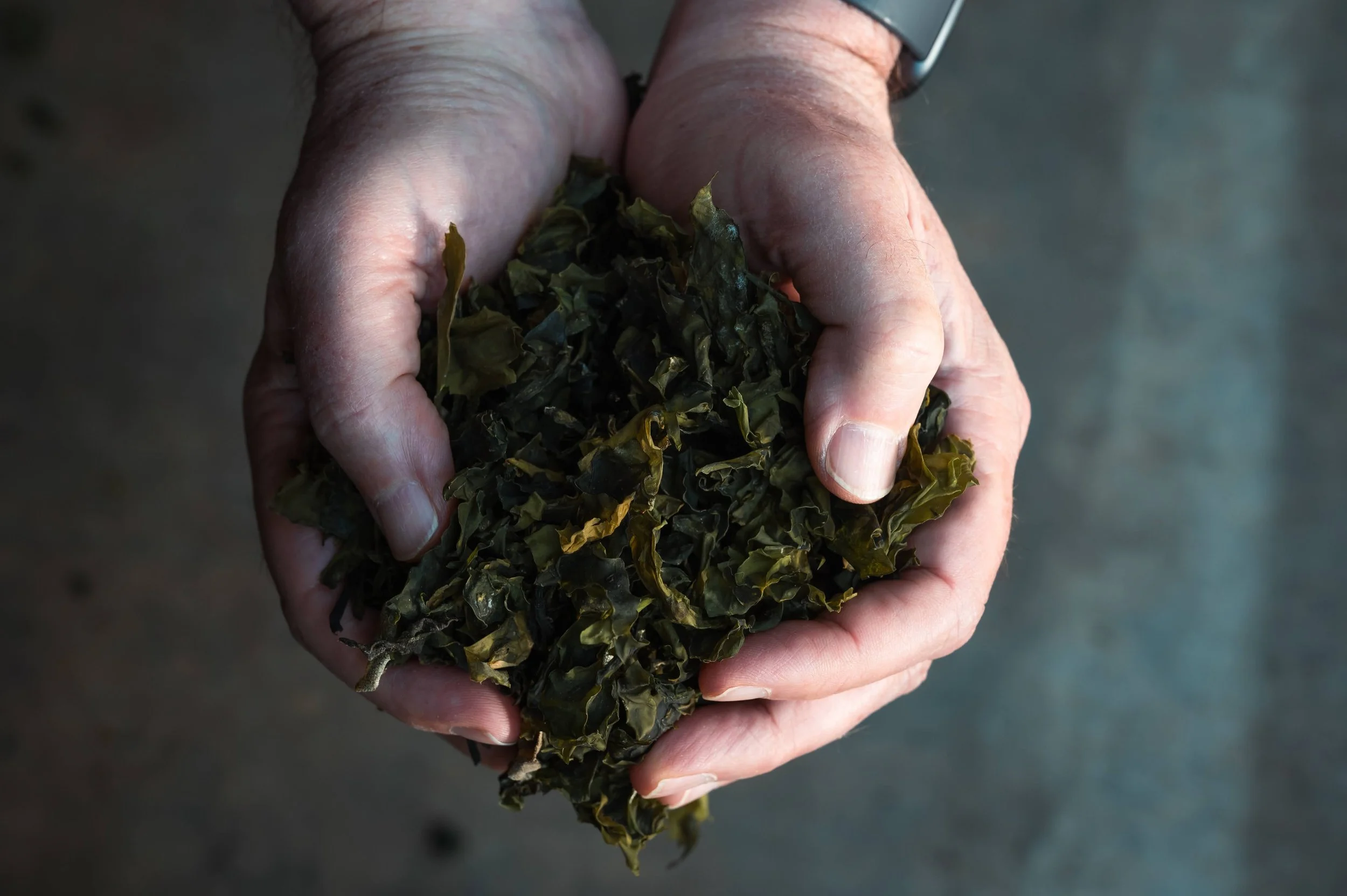 Training Opportunities — GreenWave