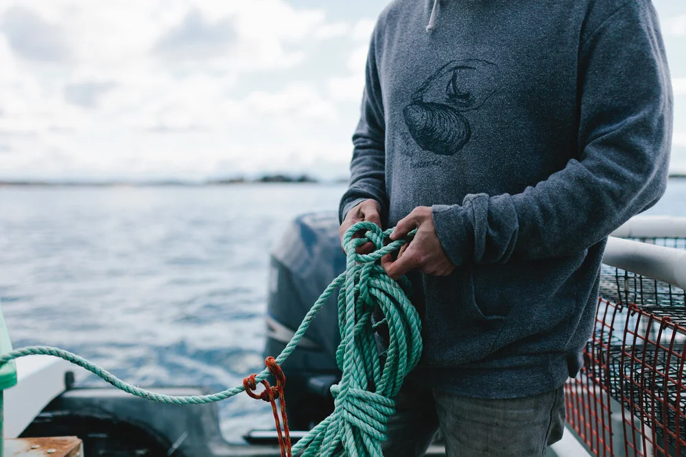 Our Work — GreenWave