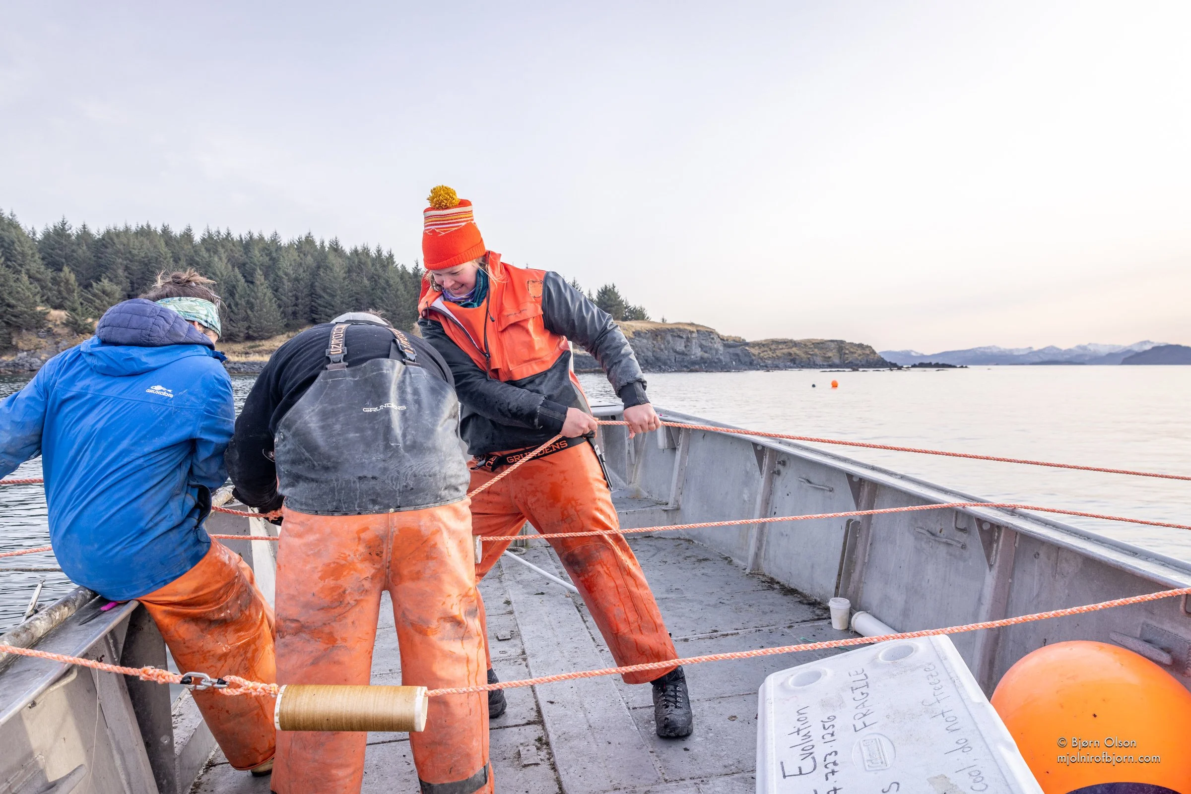 Training Opportunities — GreenWave