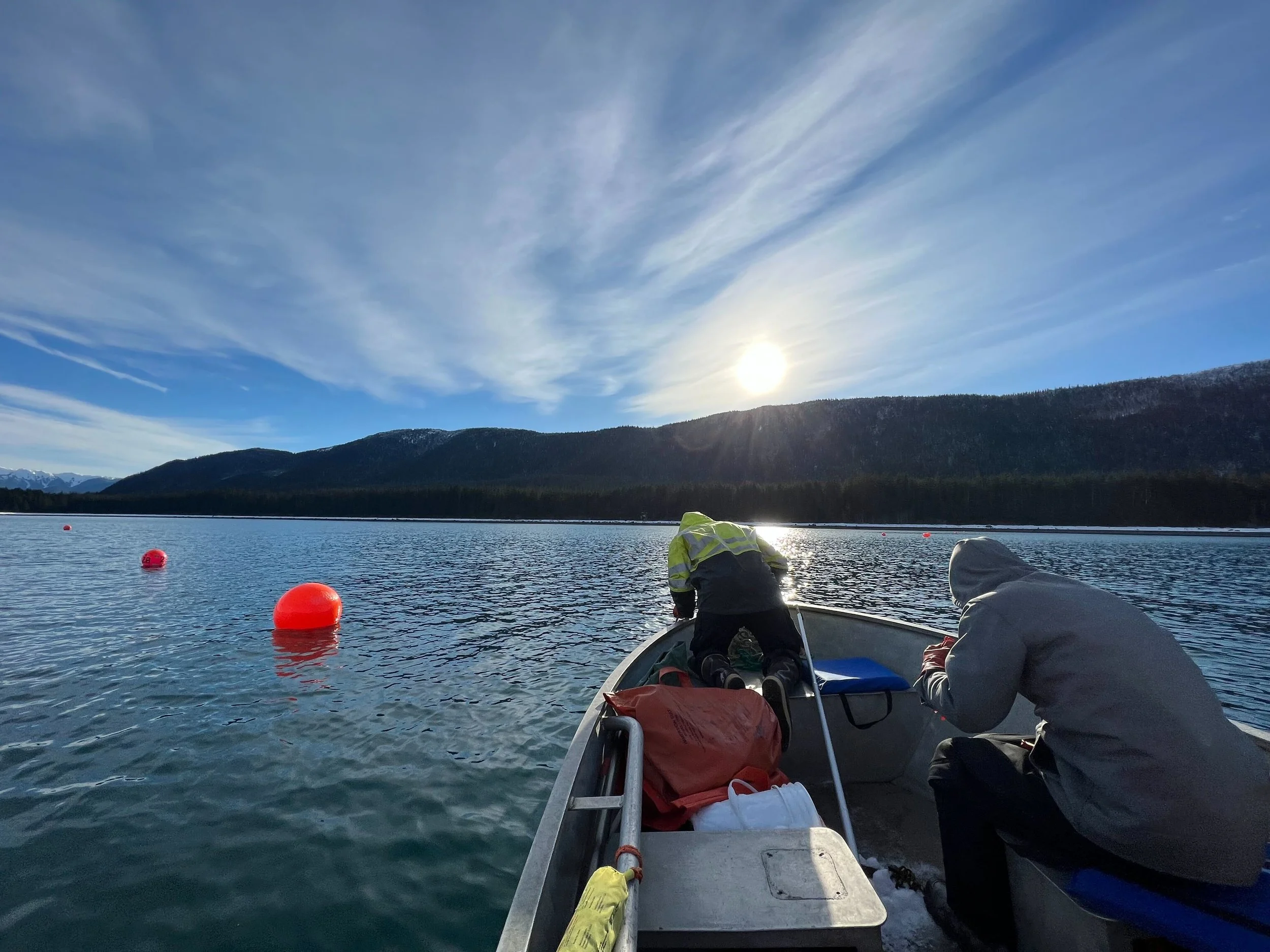 Training Opportunities — GreenWave