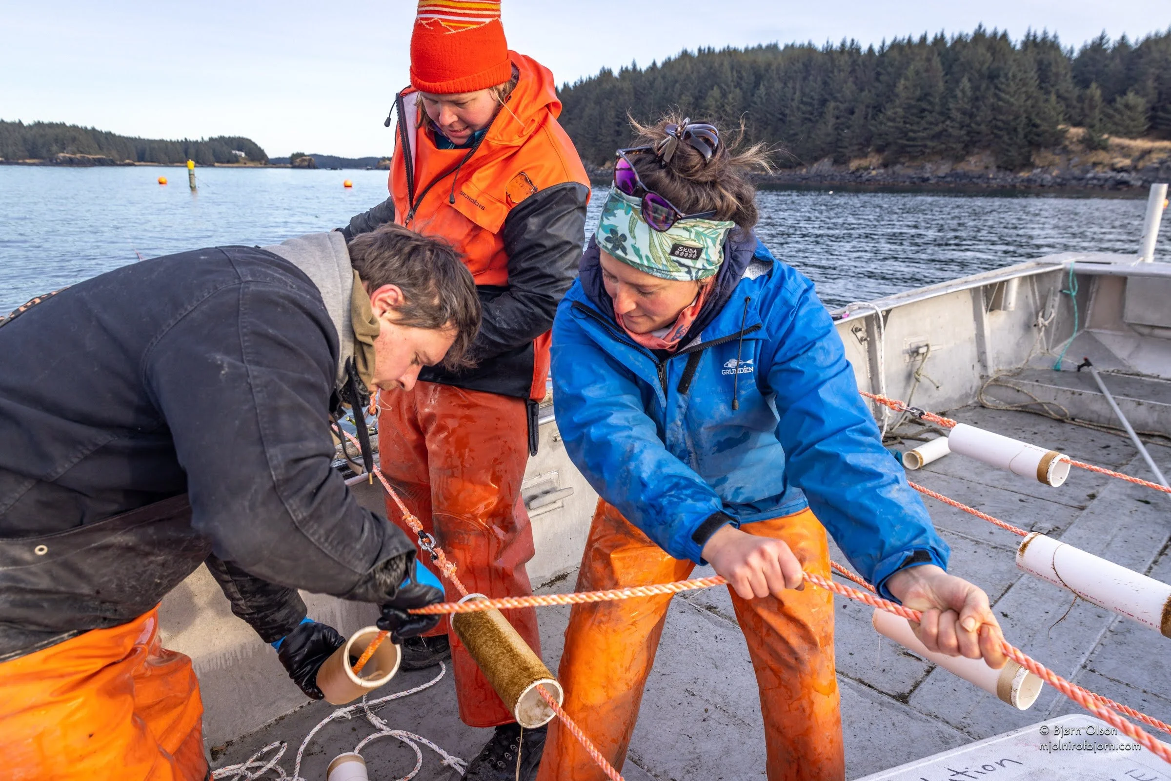 Training Opportunities — GreenWave