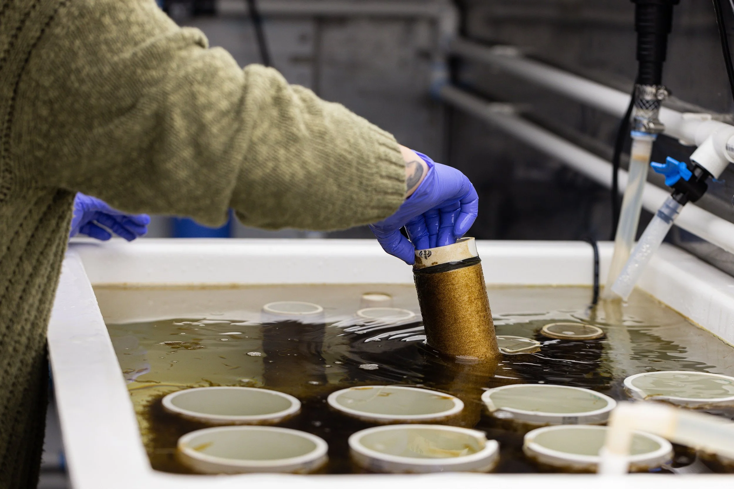 Our Approach — GreenWave